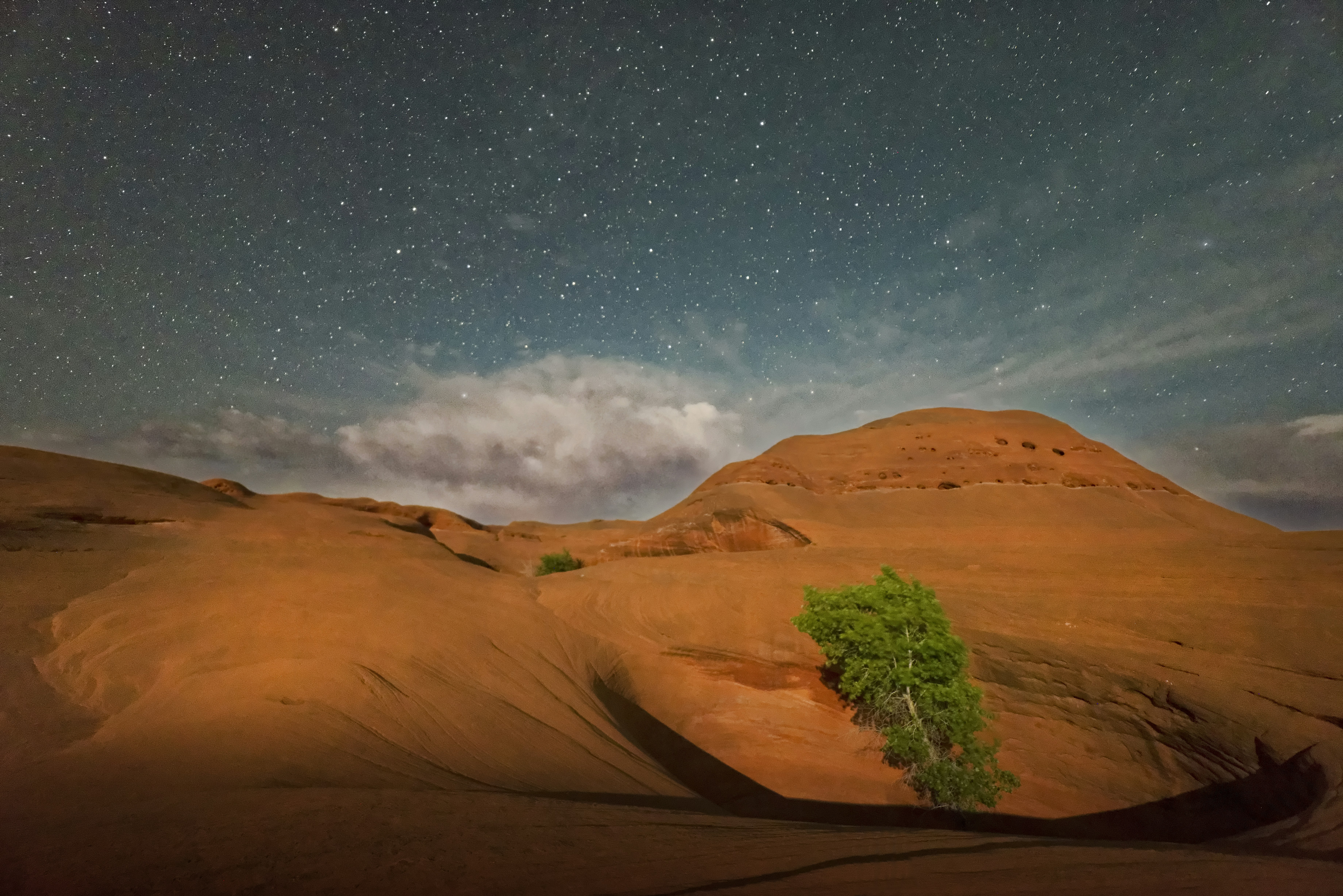 A solitary green tree stands against the backdrop of a starry sky and undulating red sand dunes, capturing the tranquil essence of a desert landscape at night.