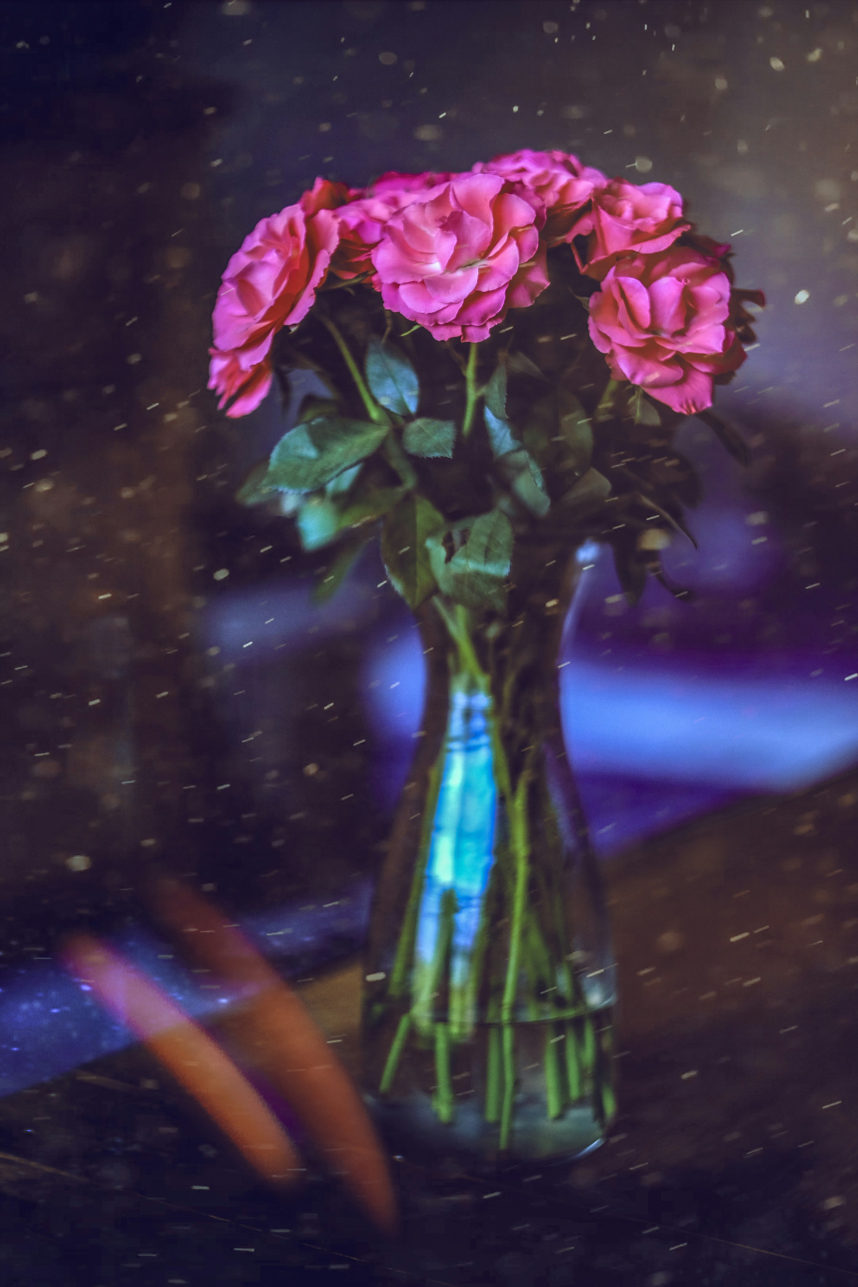 A bouquet of vibrant pink roses in a glass vase, set against a softly blurred background with a hint of ambient light.