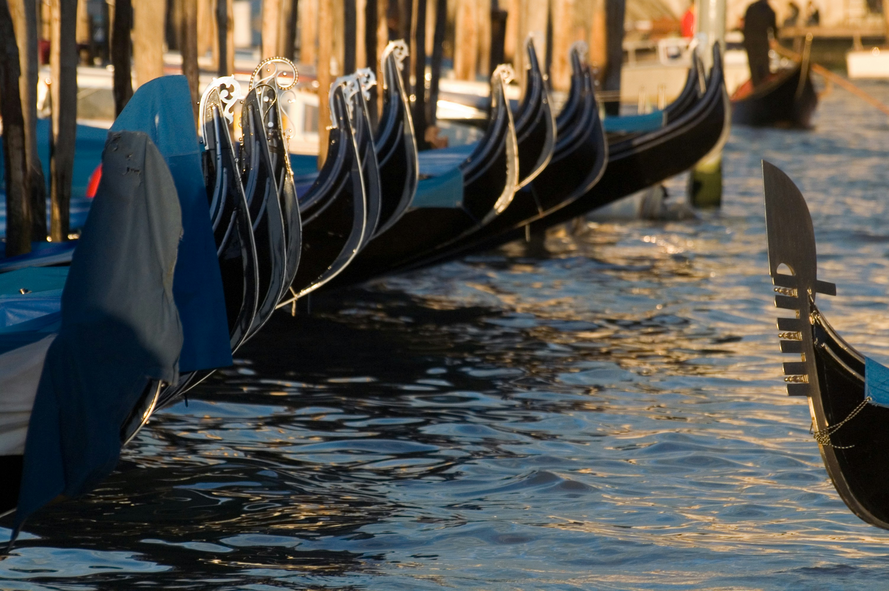 Gondolas lined along the shimmering waters of a Venetian canal, showcasing their elegant design against a backdrop of wooden pilings.