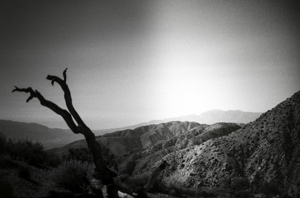 Victor Erixon (@victorerixon) | Unsplash Photo Community