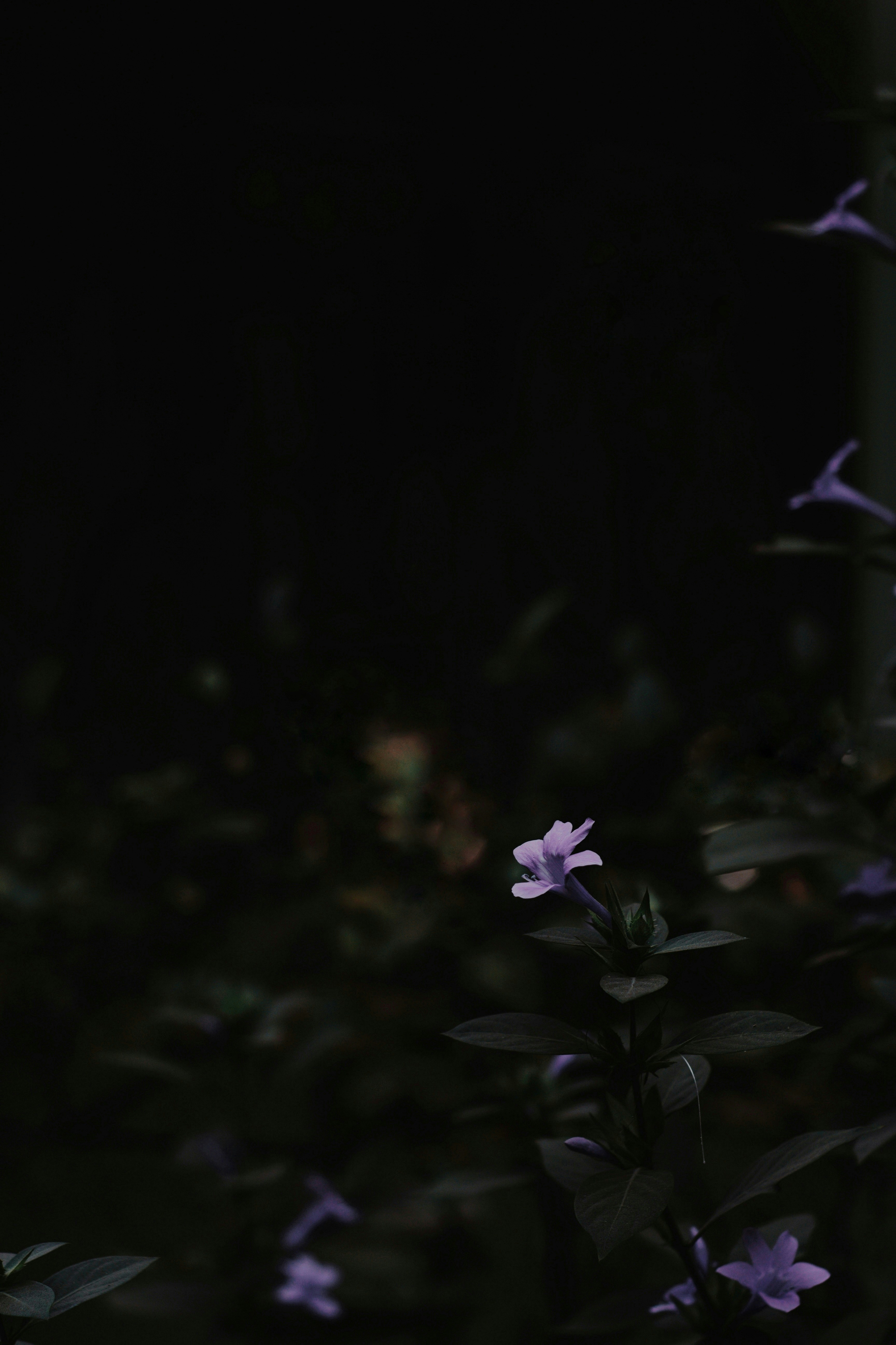 Keyur Hardas (@veerappan) | Unsplash 사진 커뮤니티