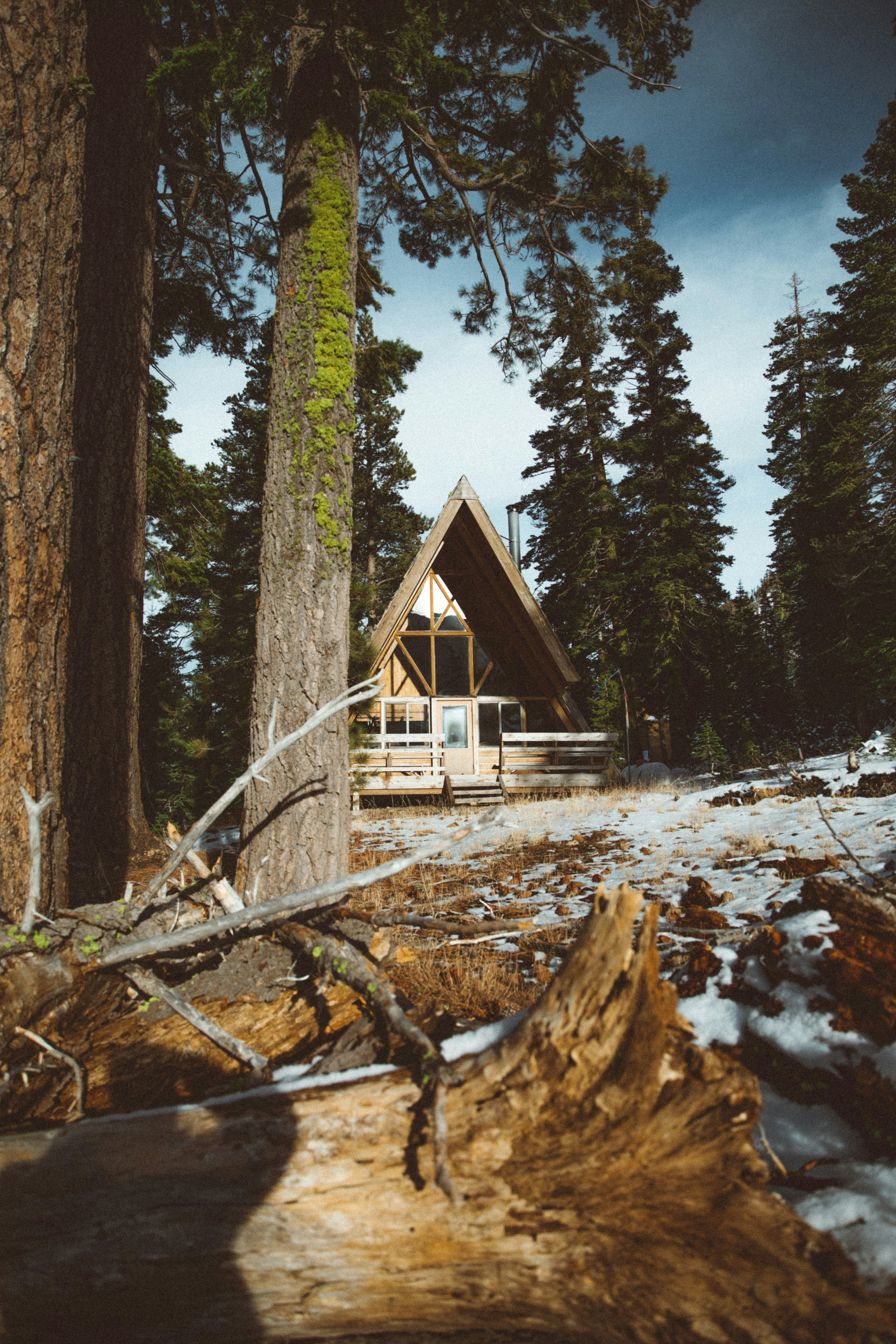 A charming A-frame cabin nestled among tall pine trees, with a snowy foreground and a dramatic sky overhead.
