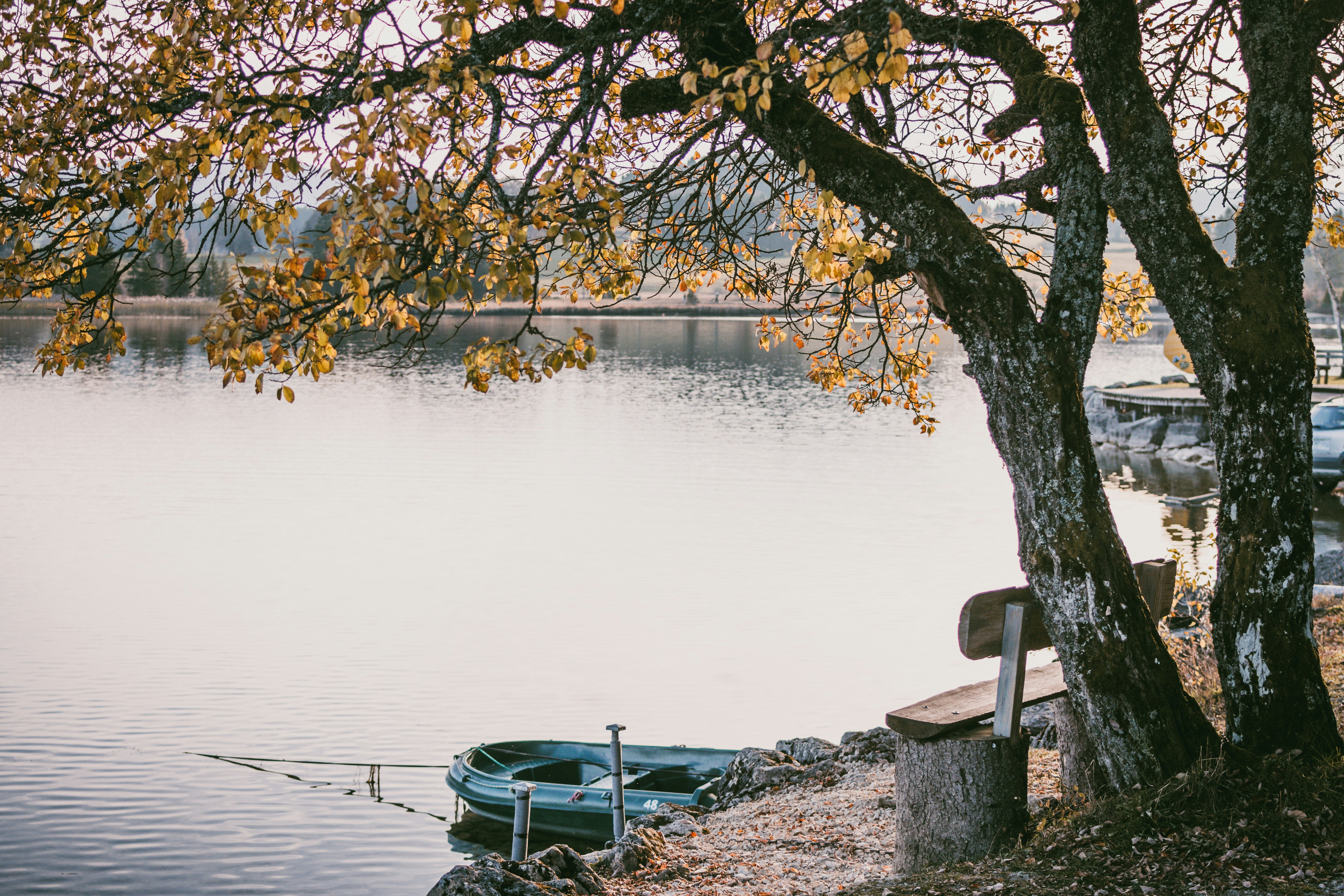 A tranquil lakeside scene featuring a rustic wooden bench, a fishing boat moored nearby, and a tree with autumn leaves casting reflections on the water.