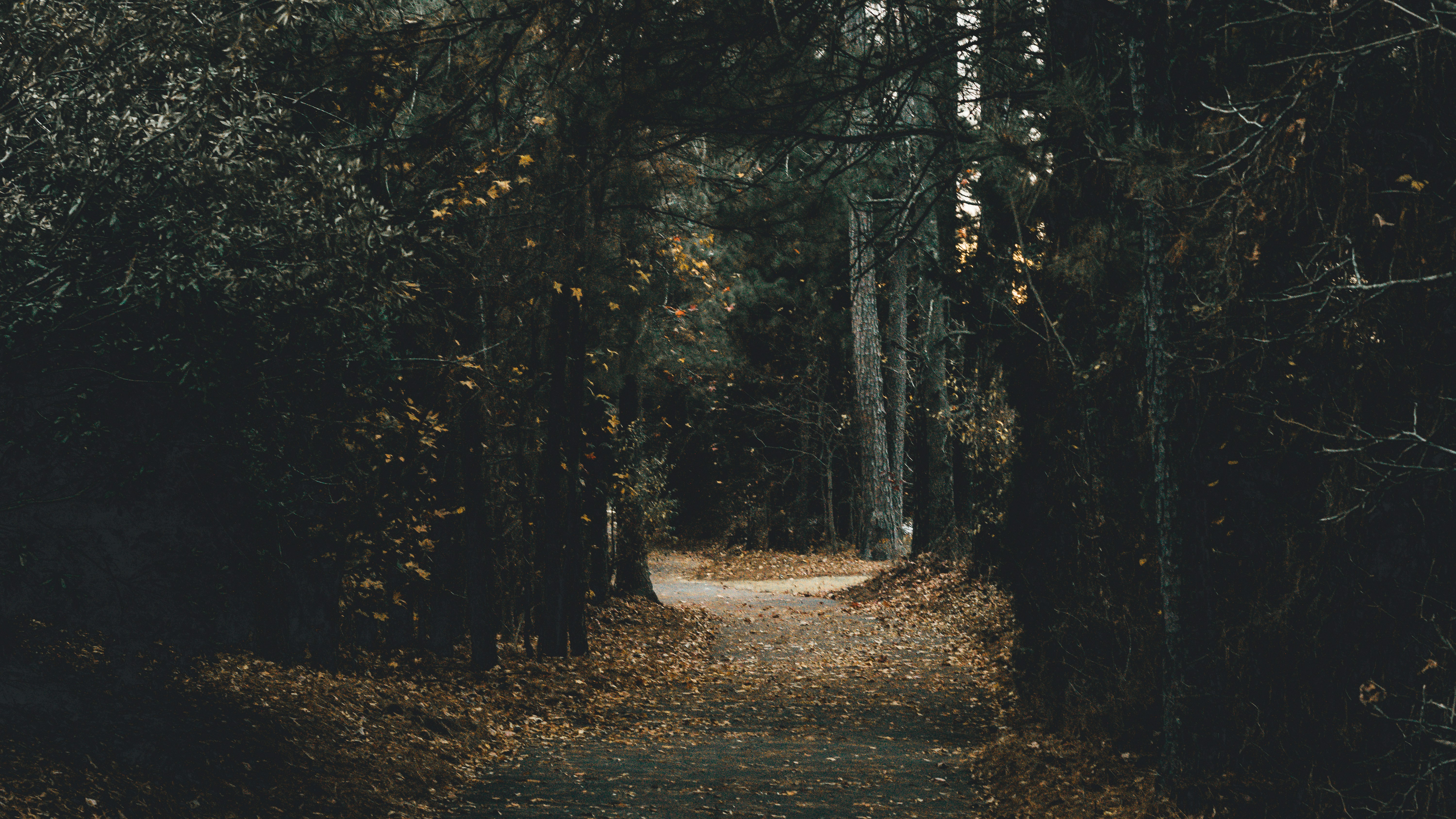 Sony FE 50mm F1.8 sample photo - 4BCoC8xPEB - ExploreCams