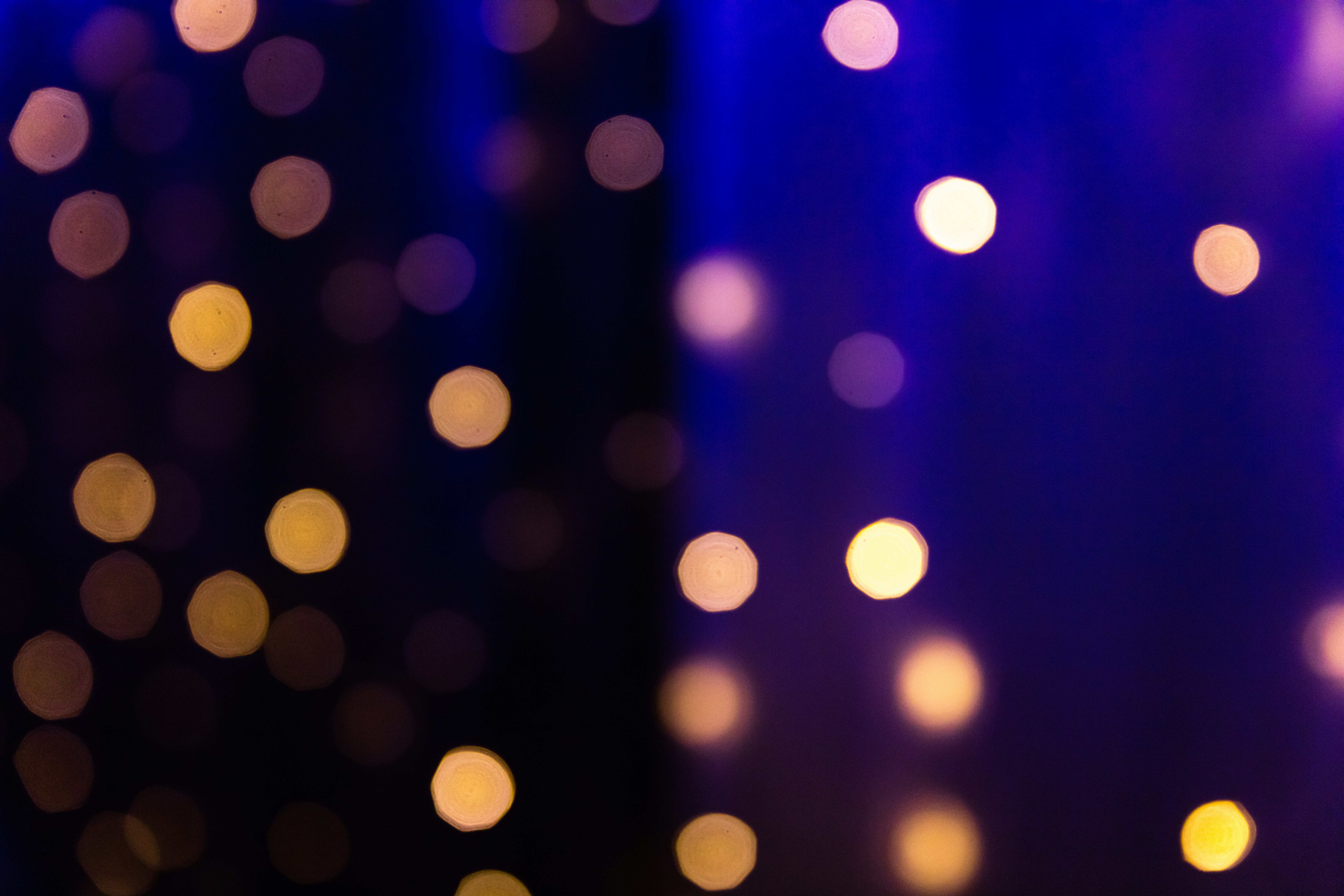 500+ Gala Pictures [HD] | Download Free Images on Unsplash