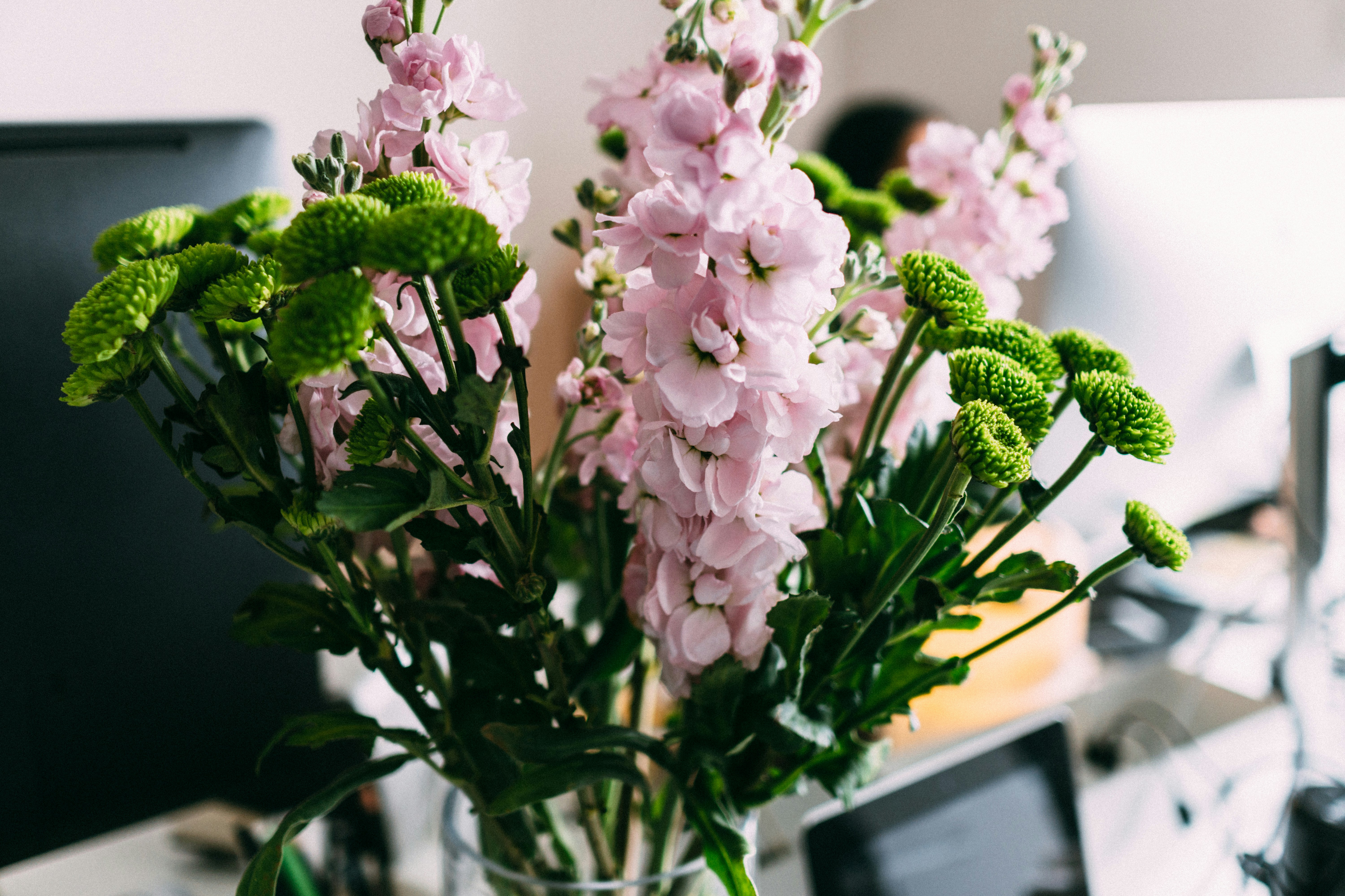 Blossoms in Focus: Soft Pink Delights Amid a Bright Office Scatter