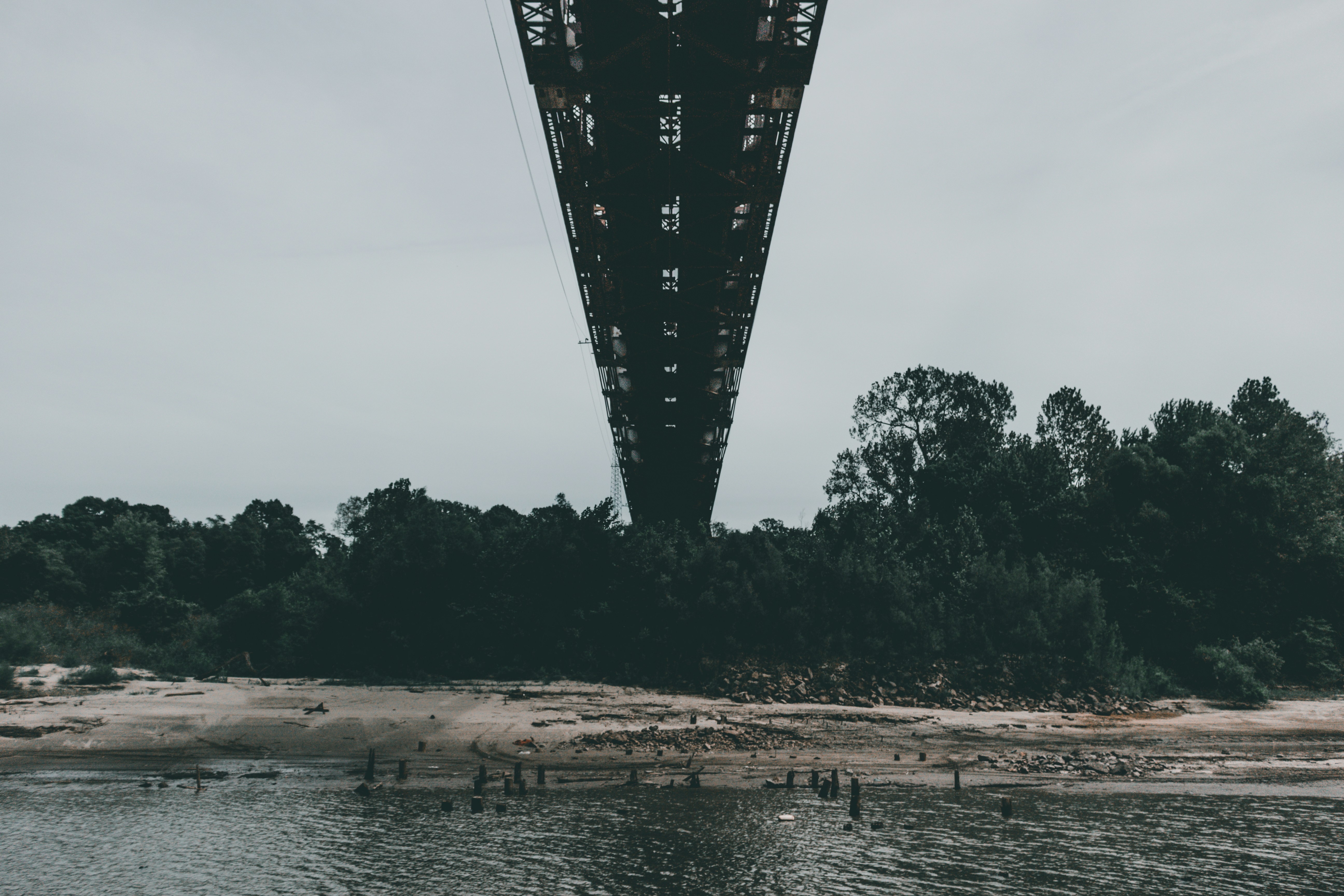 Under the Iron Span: Riverside Convergence Beneath a Towering Bridge