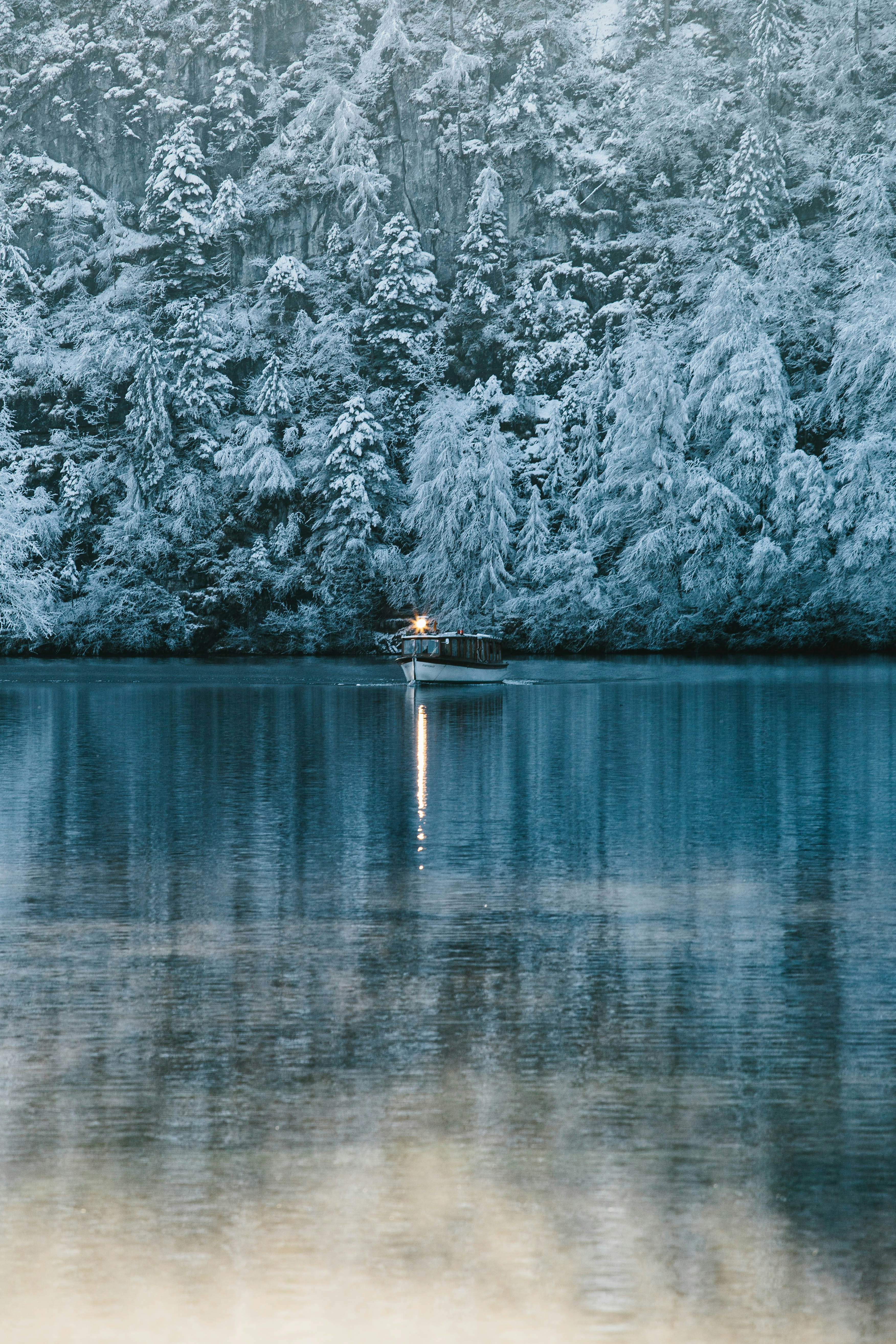 Winter Wonderland | 65 best free photos on Unsplash