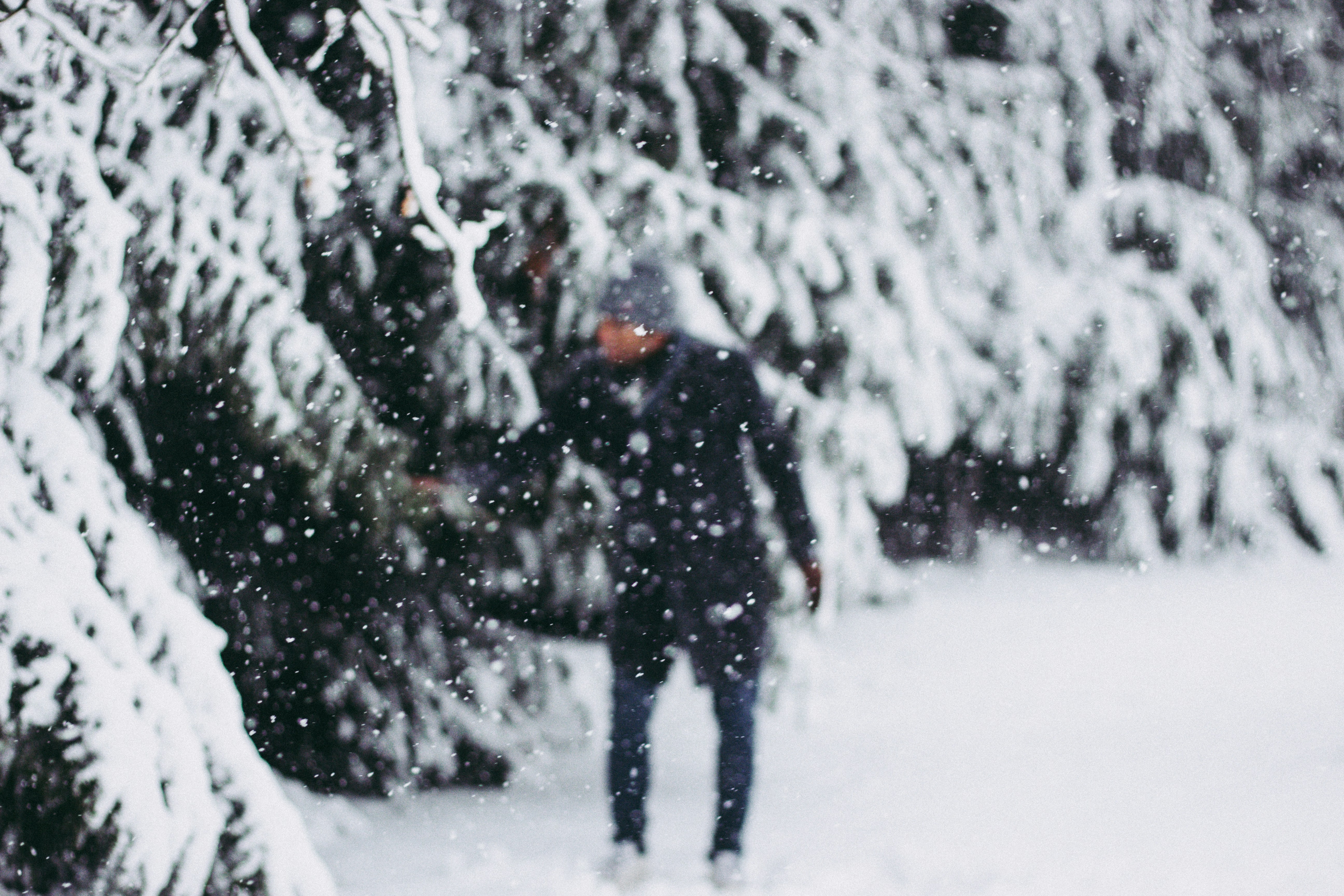 Person in a black jacket walks through a snowy forest with snowflakes falling gently.