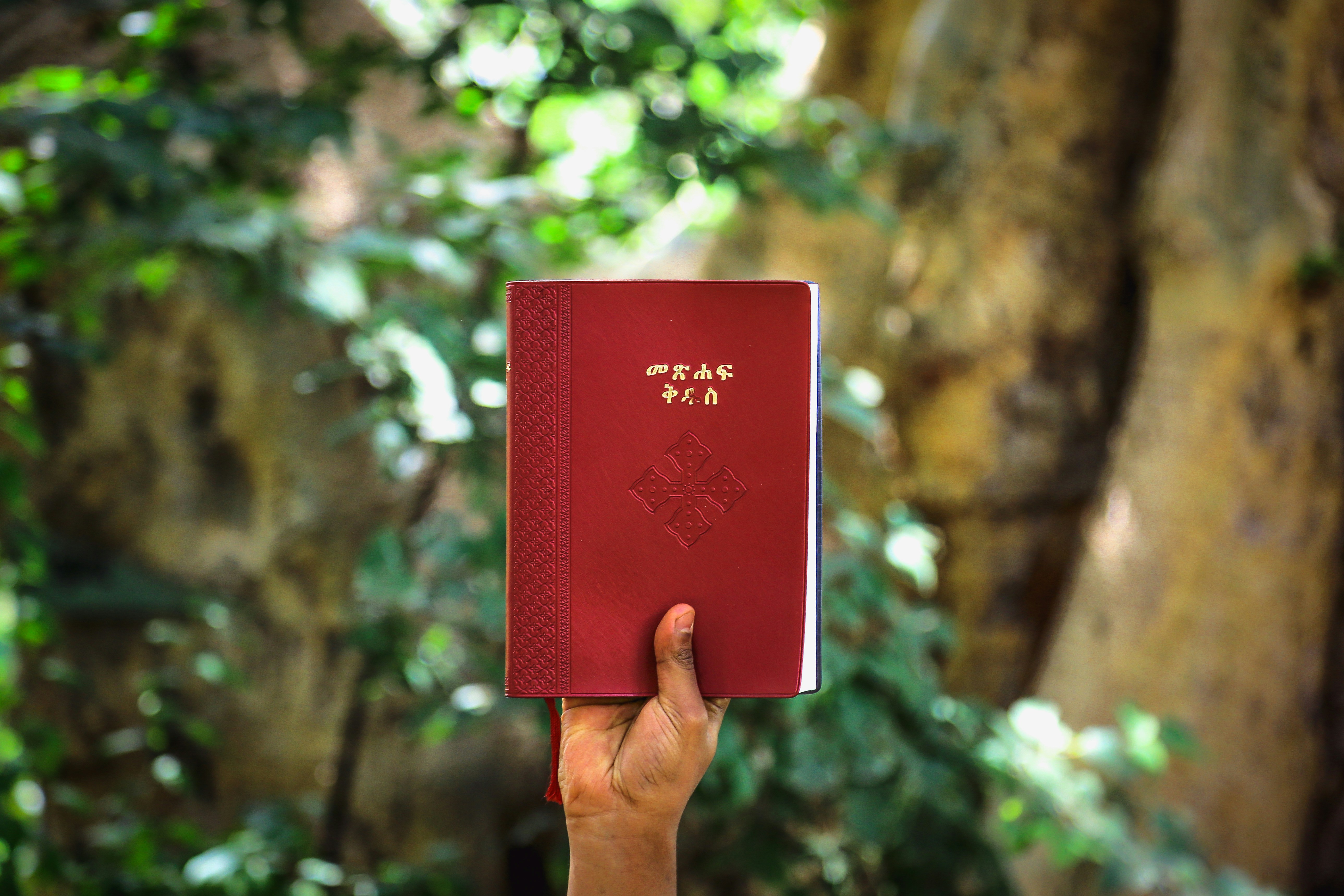 A hand holds a red book against a backdrop of lush greenery, suggesting a moment of reflection or discovery.