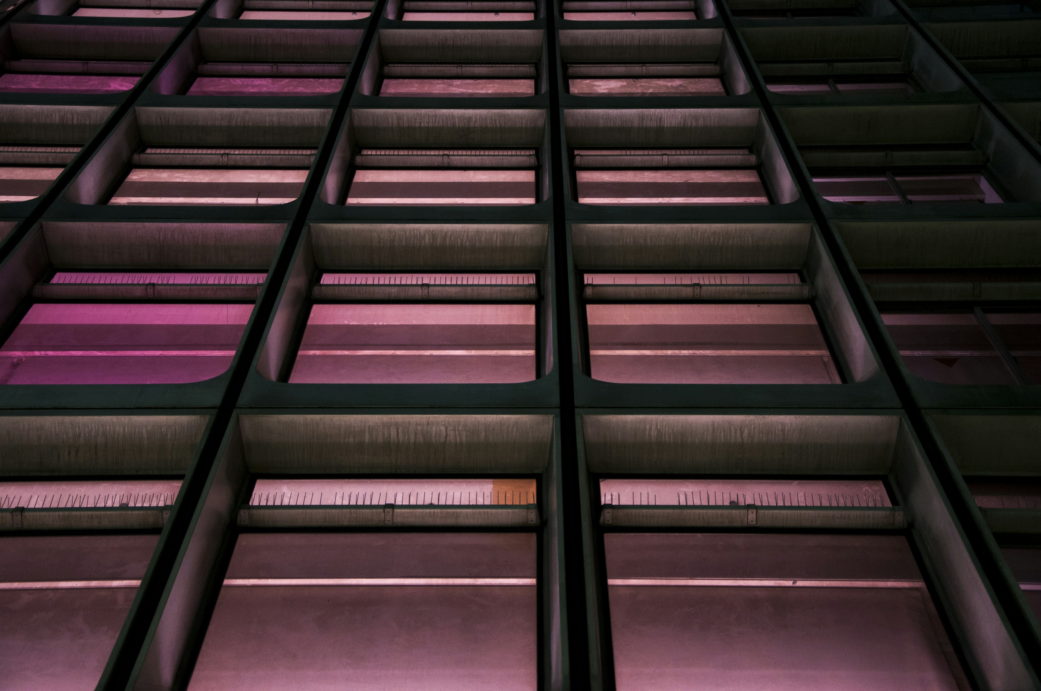 Purple Neon Grid: A Facade’s Geometric Symmetry