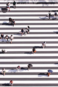 Symphony of Stripes: Pedestrian Harmony