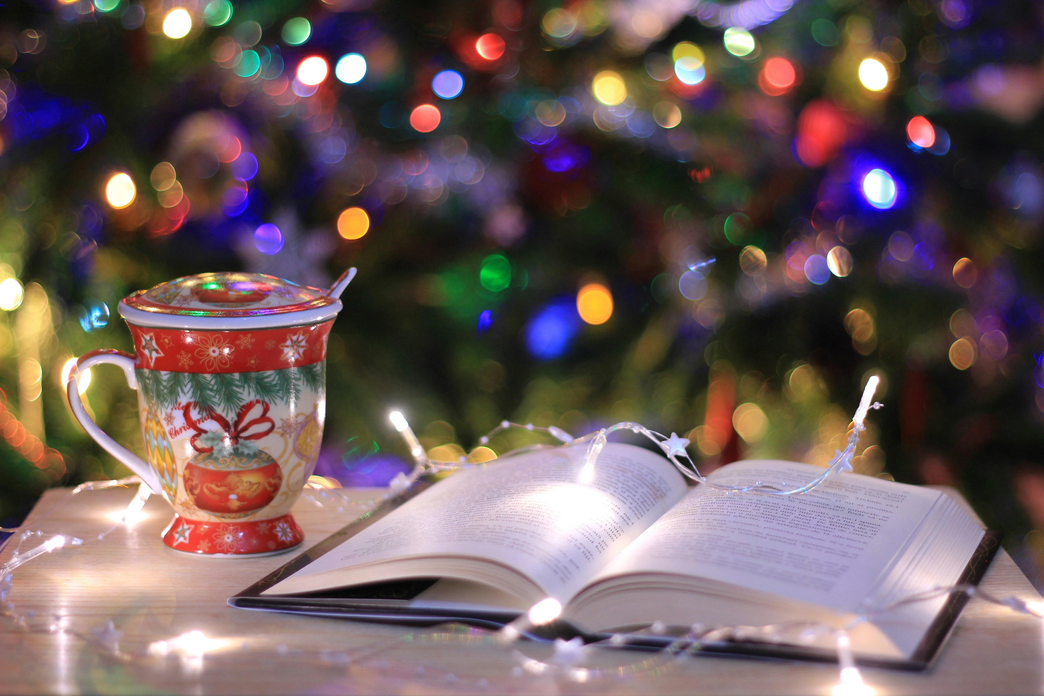 Andreea Radu (@wildacvila) | Unsplash 사진 커뮤니티