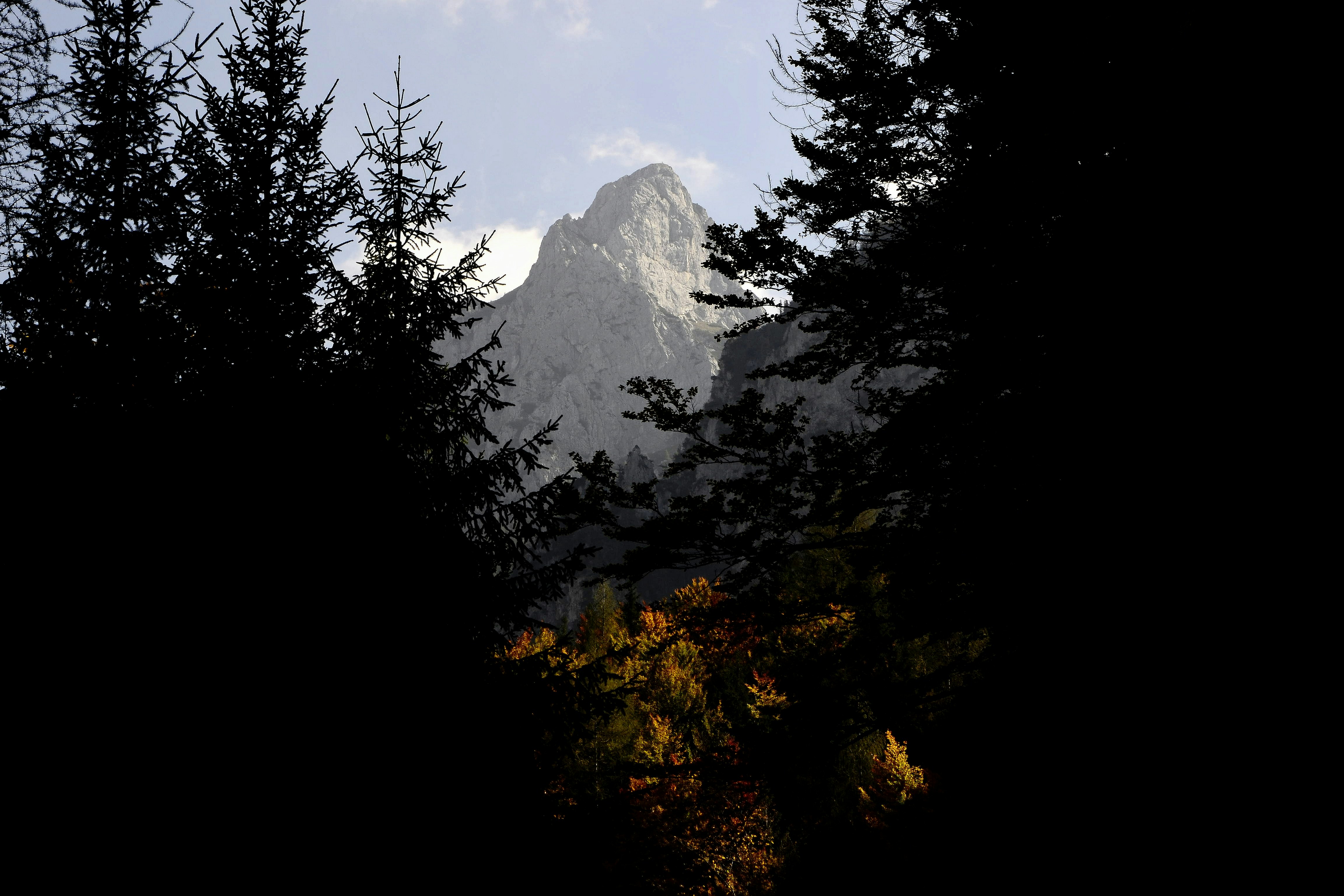 Mountain peak rising above shadowed trees with golden foliage in foreground.