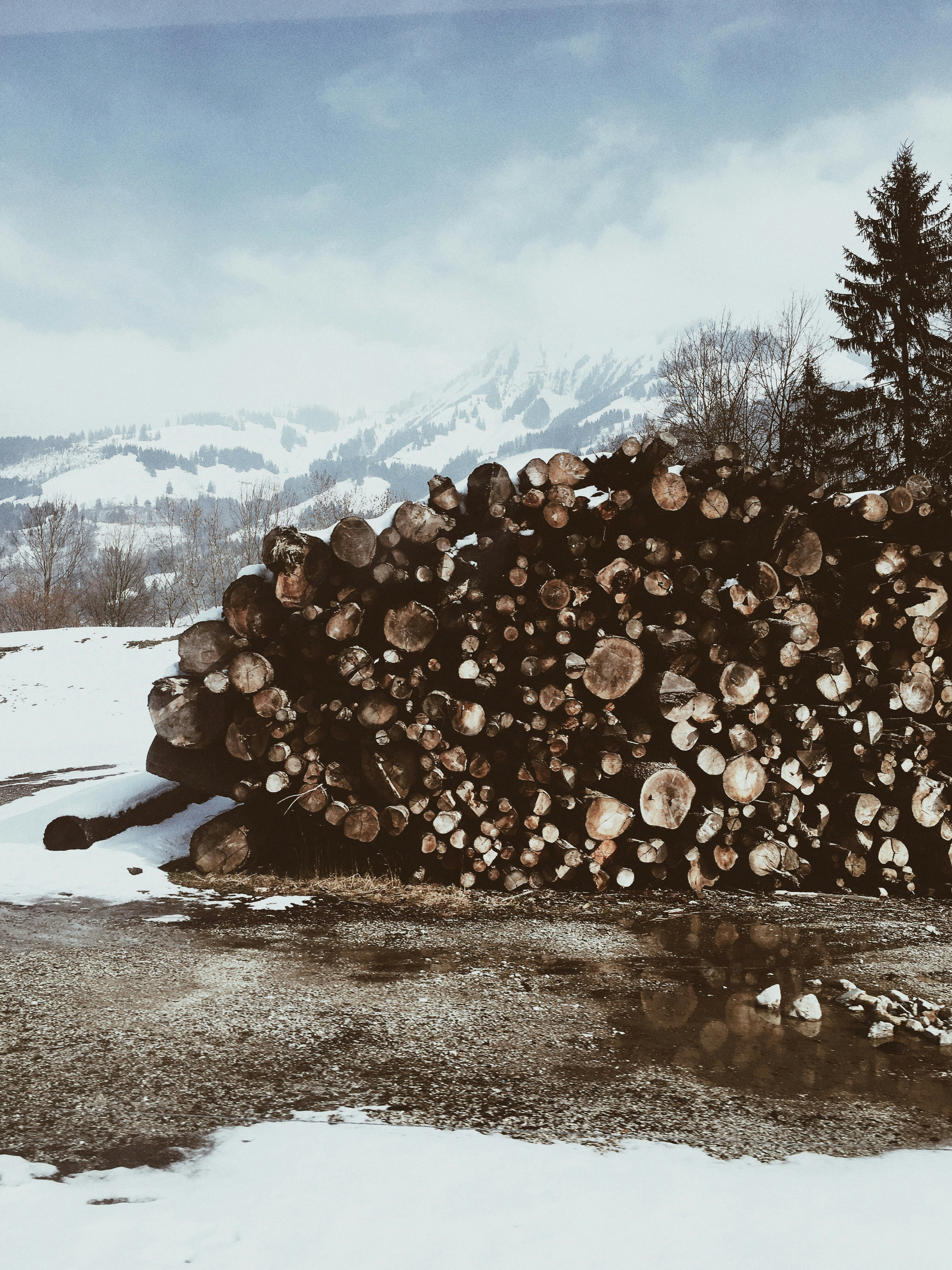 Gerber : définition de « gerber » | La langue française