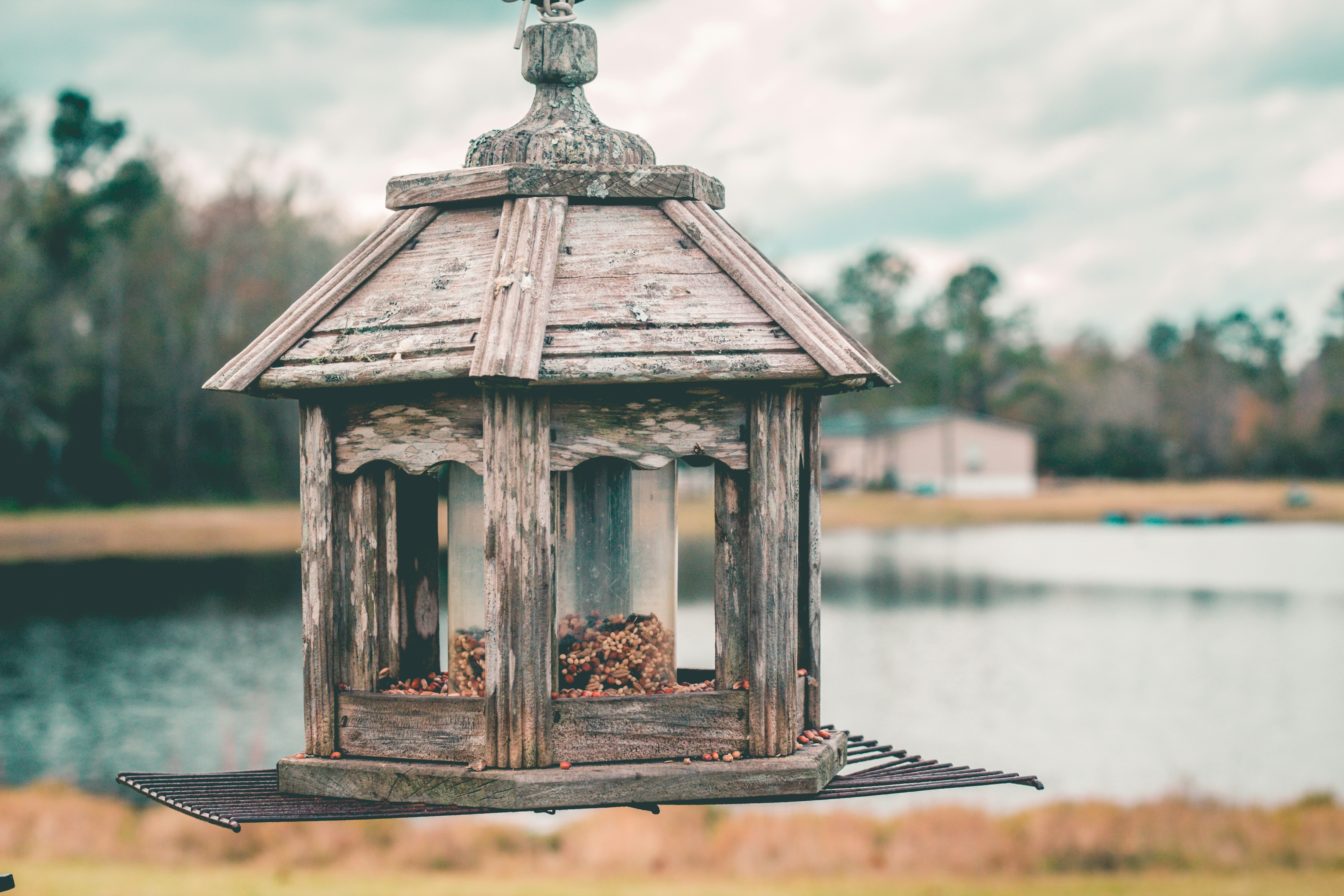 Weathered Lantern-Top Bird Feeder Framing a Quiet Lakeside