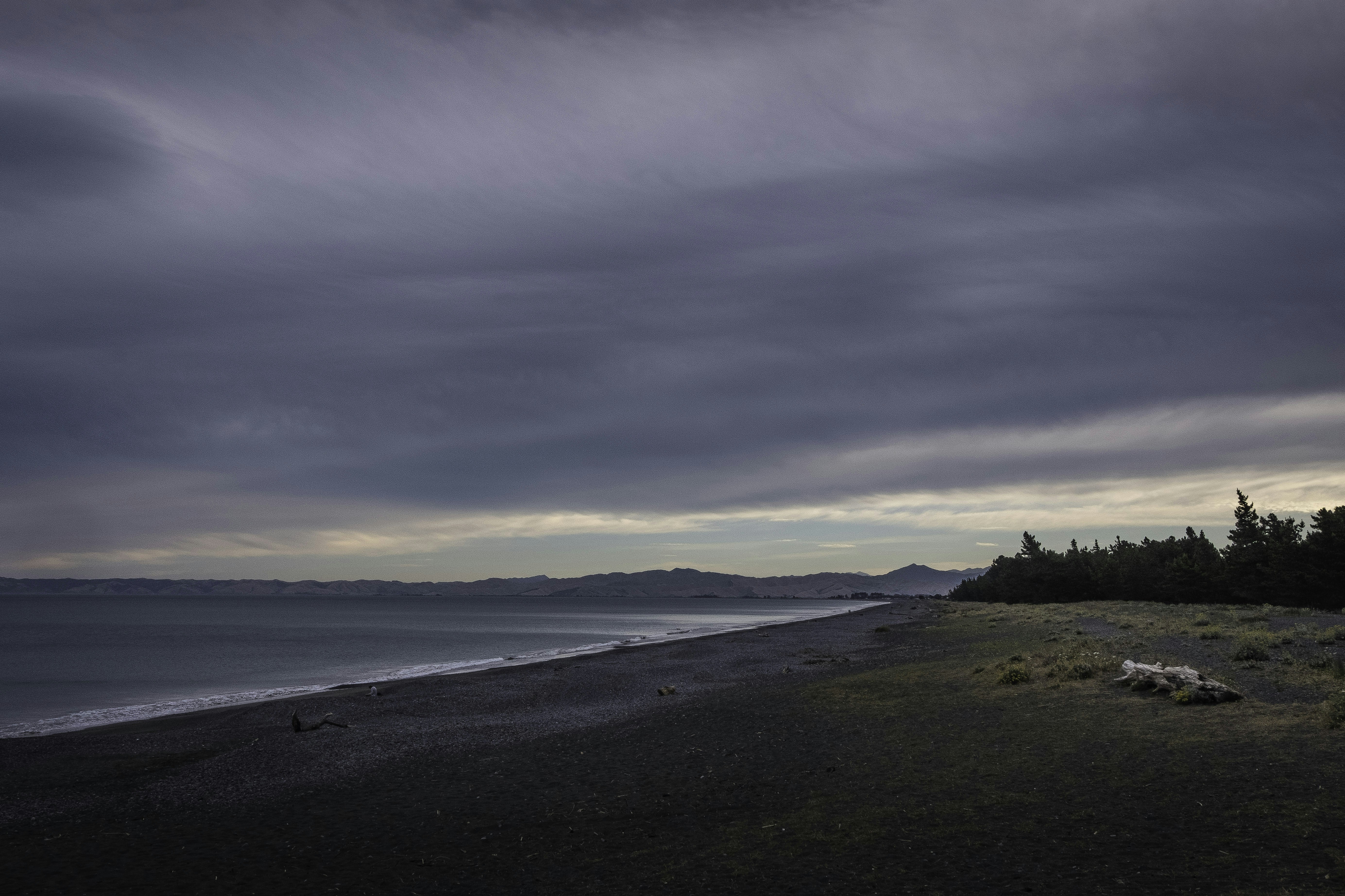 Driftwood Sentinel on a Dusk-Blue Shore Under Heavy Clouds