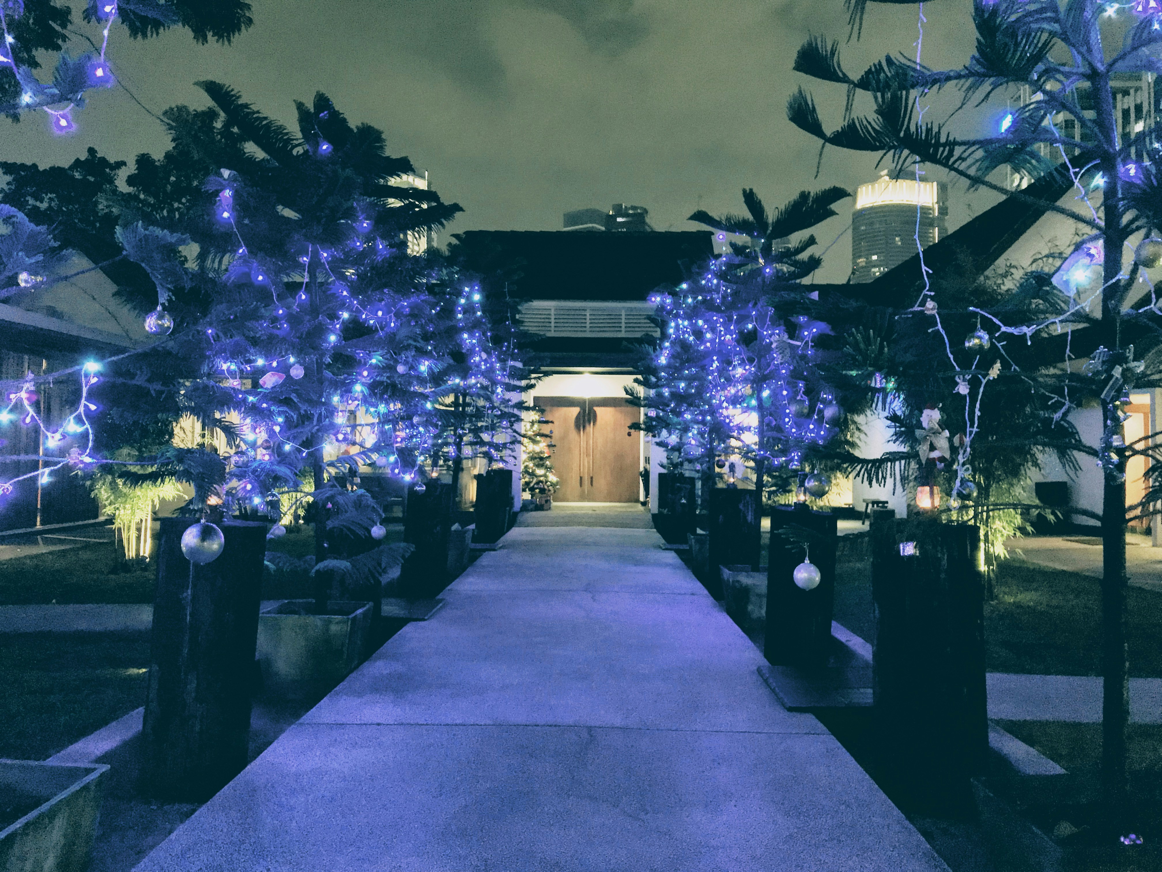 Cyrus Chew (@cyrus_c) | Comunidad de fotos de Unsplash