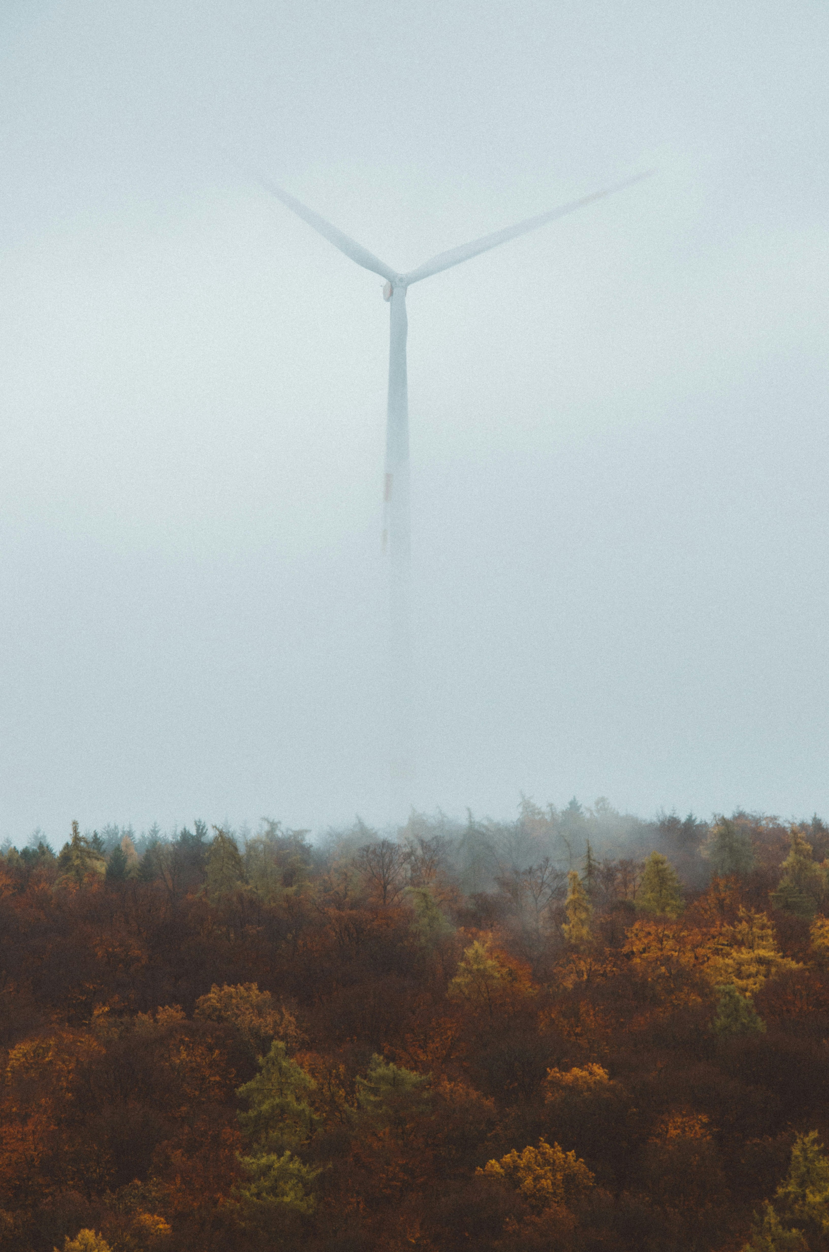 A towering wind turbine emerges from a blanket of fog, surrounded by autumnal foliage in muted tones. The scene evokes a sense of tranquility and mystery.