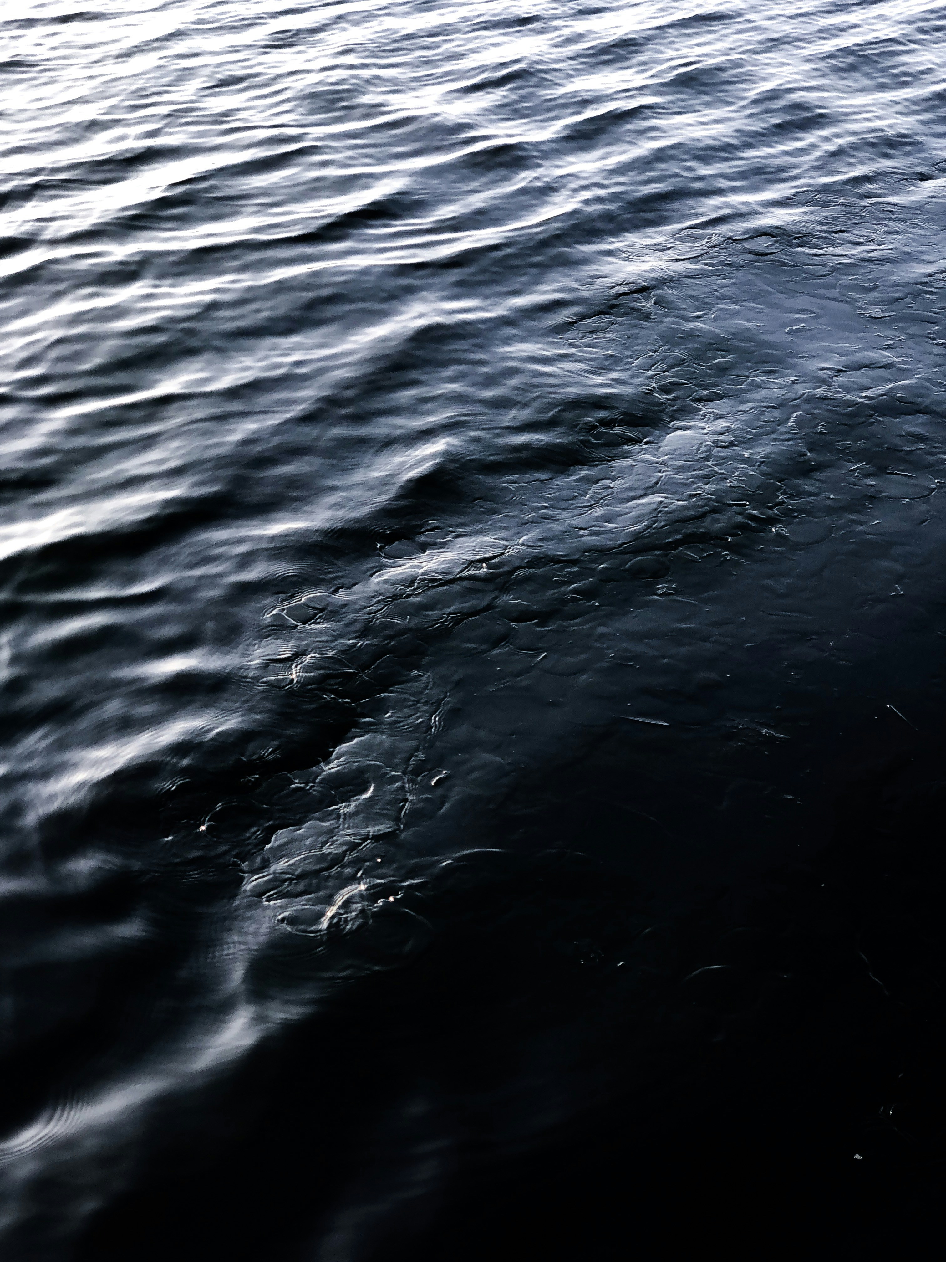 Gentle ripples on dark water surface reveal hints of aquatic life below. The interplay of light and shadow creates an intriguing underwater mystery.