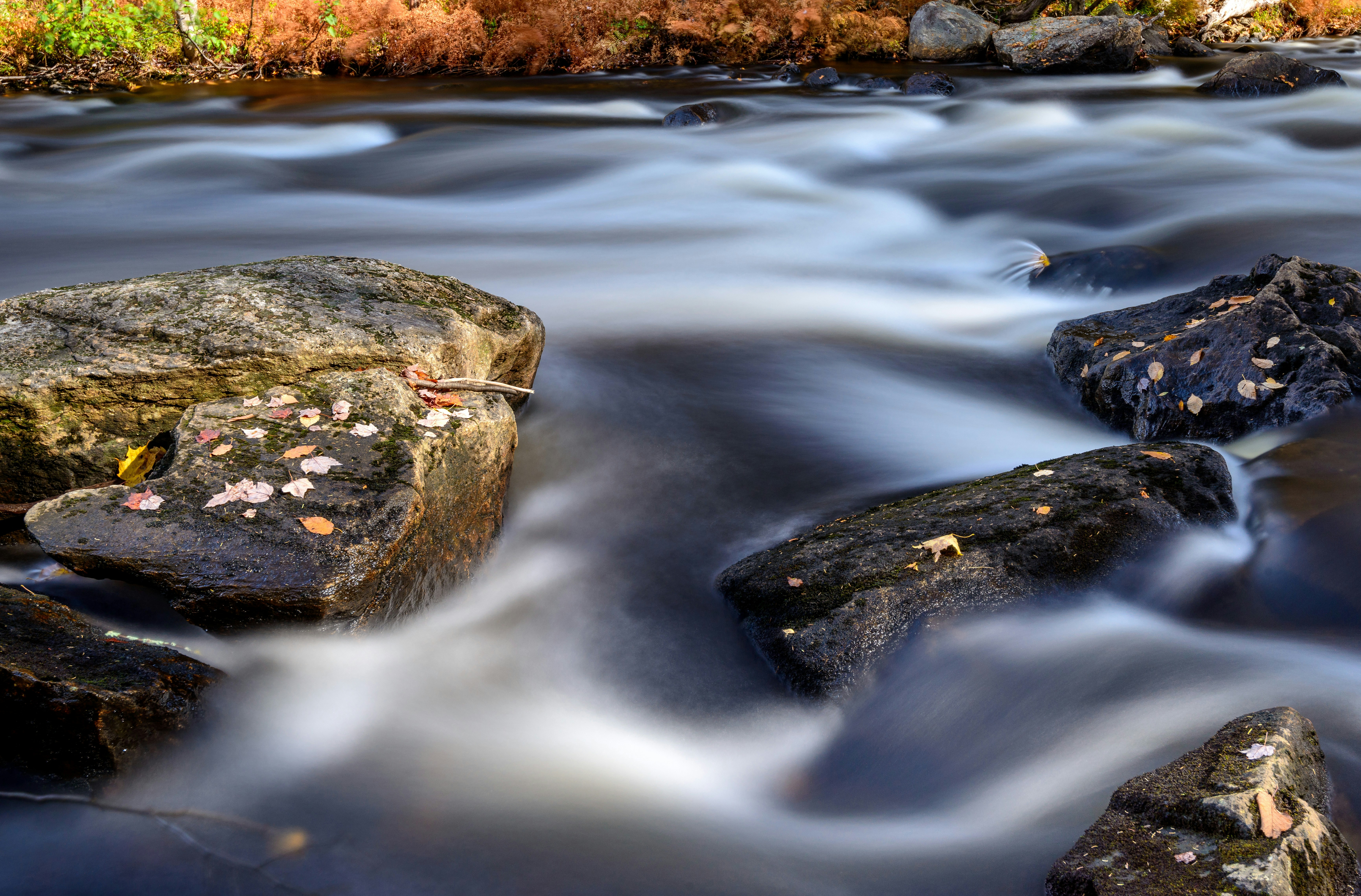 Benefits of River Restoration | the River Restoration Centre