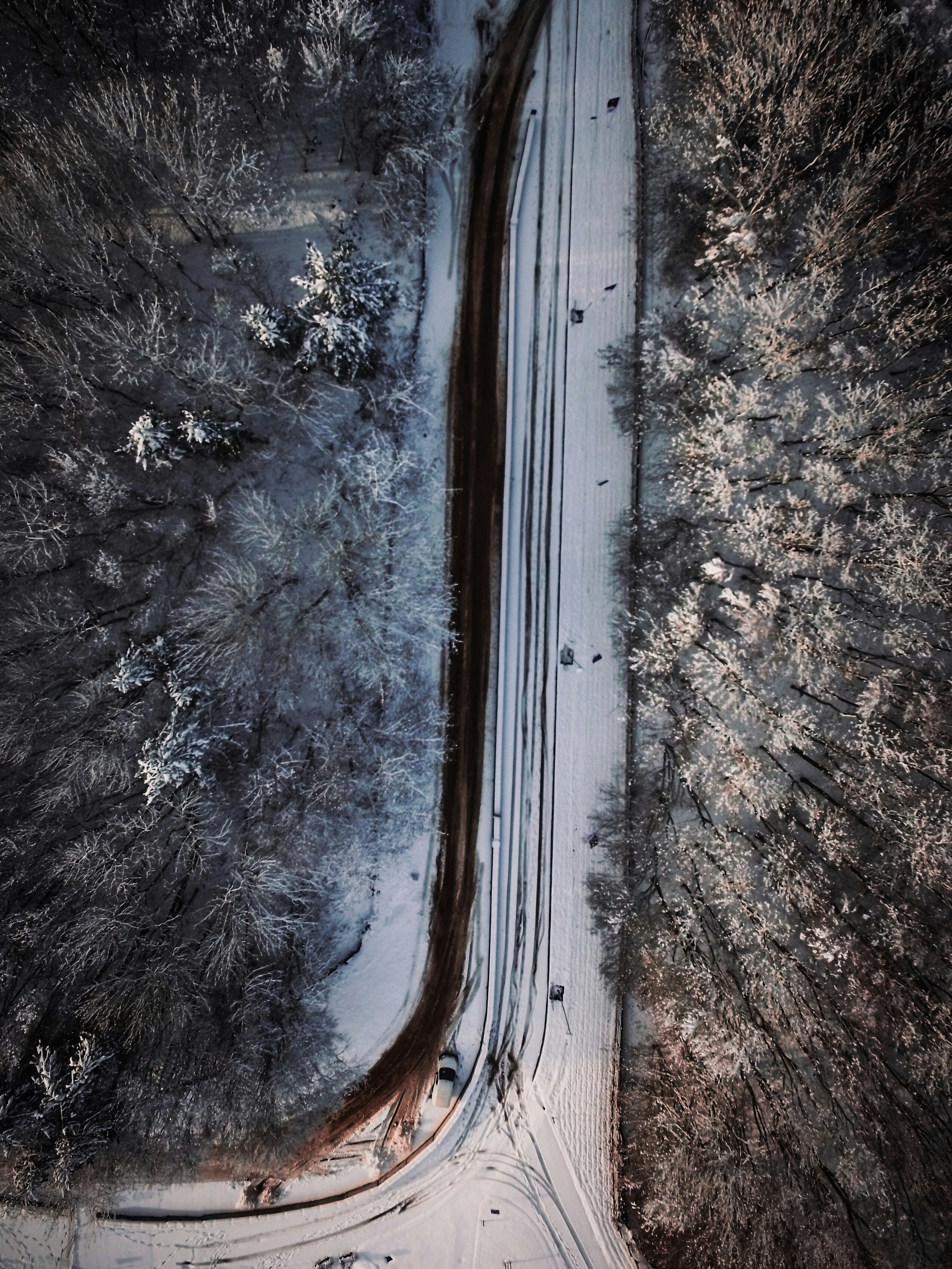 Aerial view of a winding road bordered by snow-covered trees, showcasing the contrast between the earthy path and the frosty landscape.