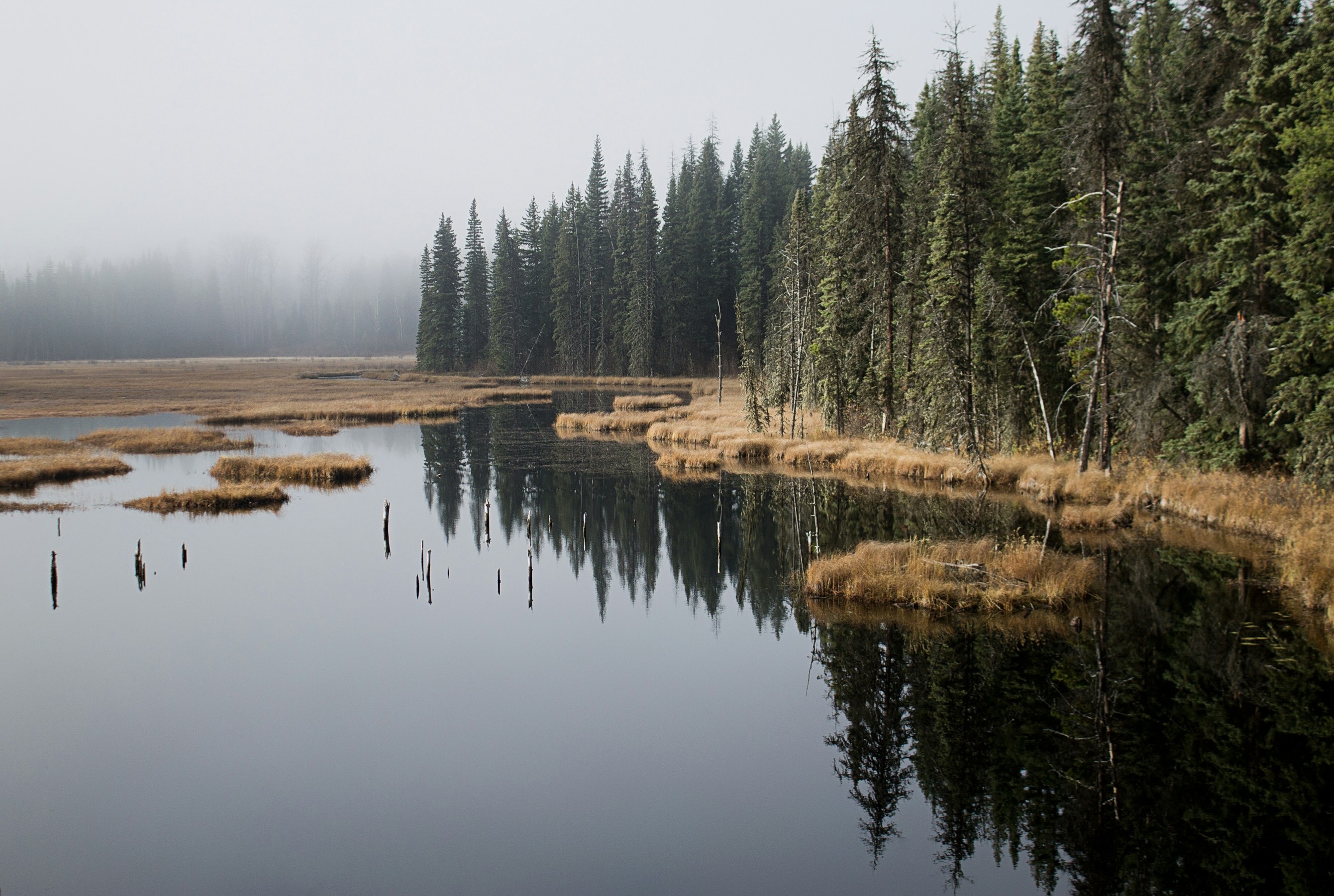 Définition de esker | Dictionnaire français
