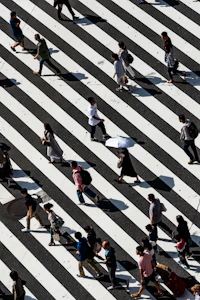 Symphony of Urban Motion