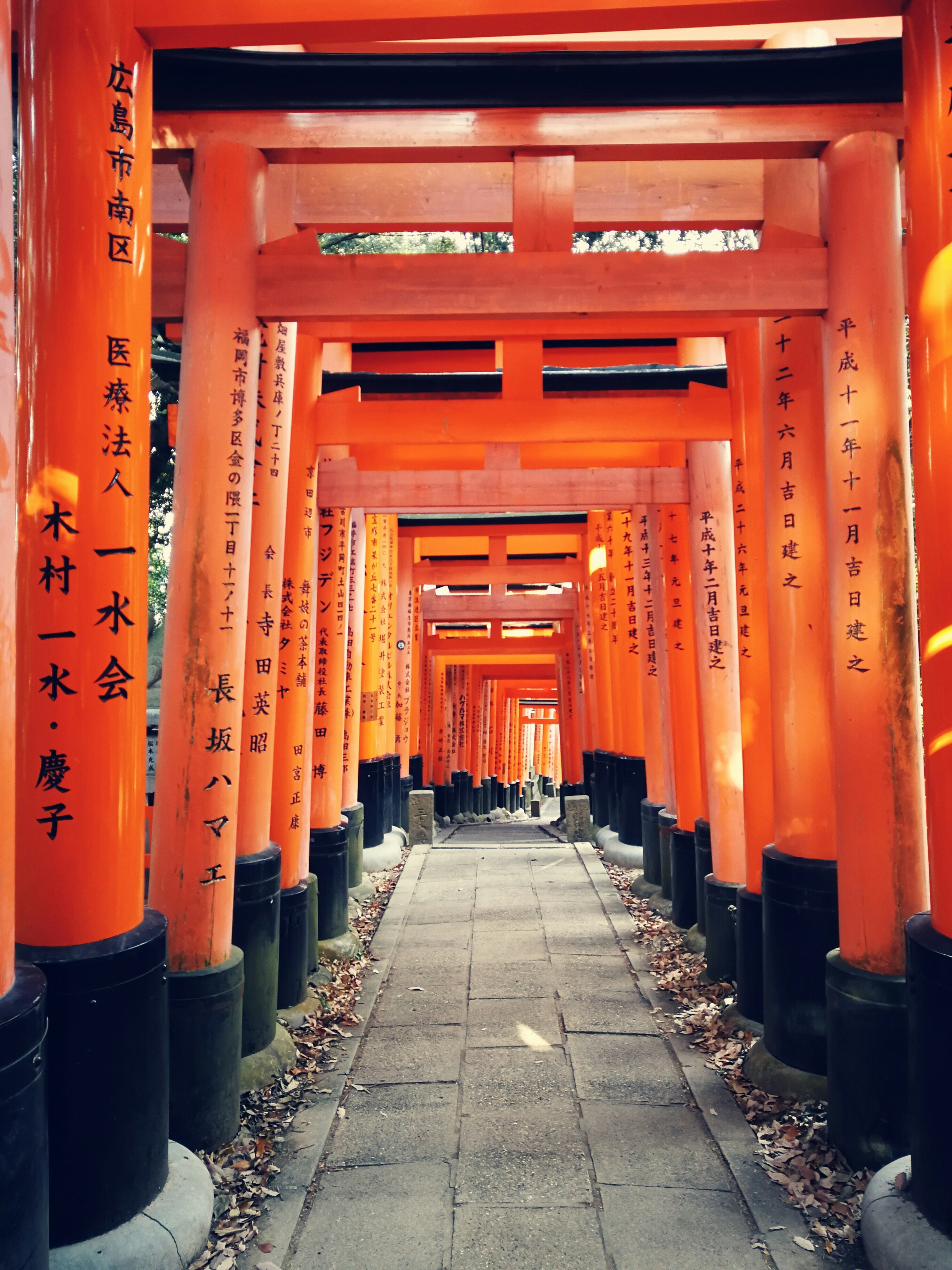 A serene pathway lined with vibrant orange torii gates inscribed with Japanese characters, leading into a tranquil setting. The scene invites exploration and reflection.