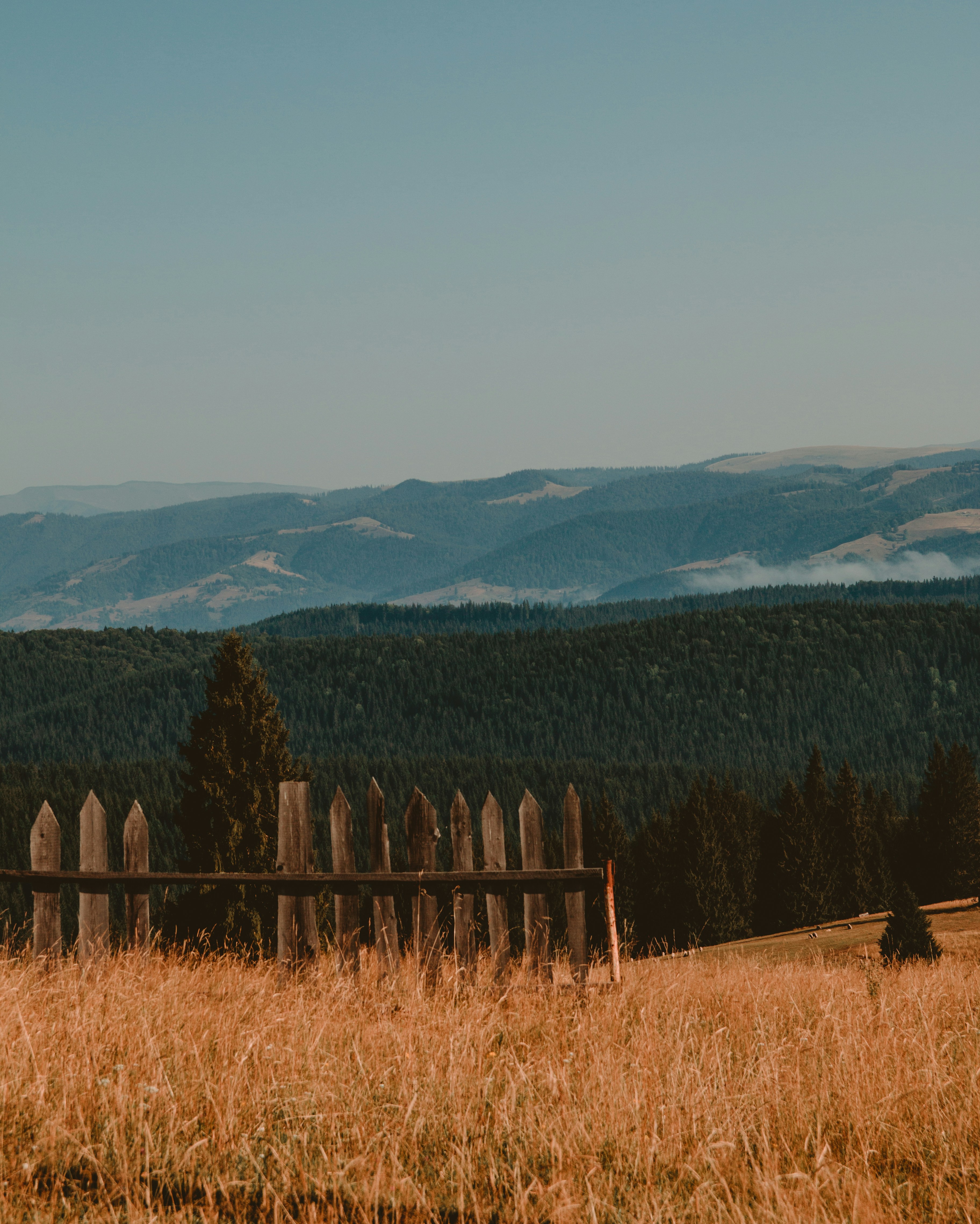Vlad Sargu (@vladsargu) | Unsplash Photo Community