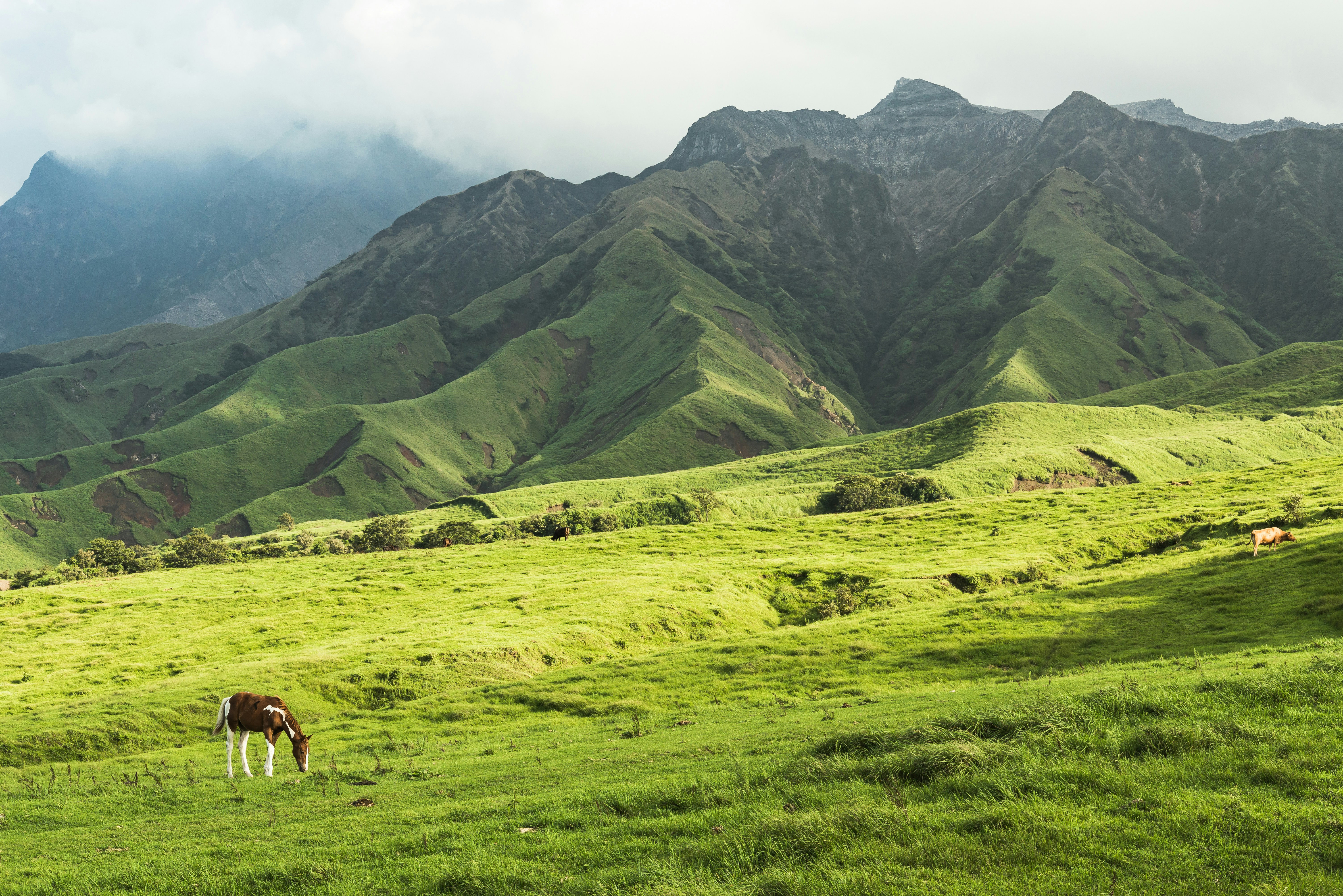 A lone horse grazes on lush green pastures set against a backdrop of majestic mountains. The scene captures the tranquility of rural life.