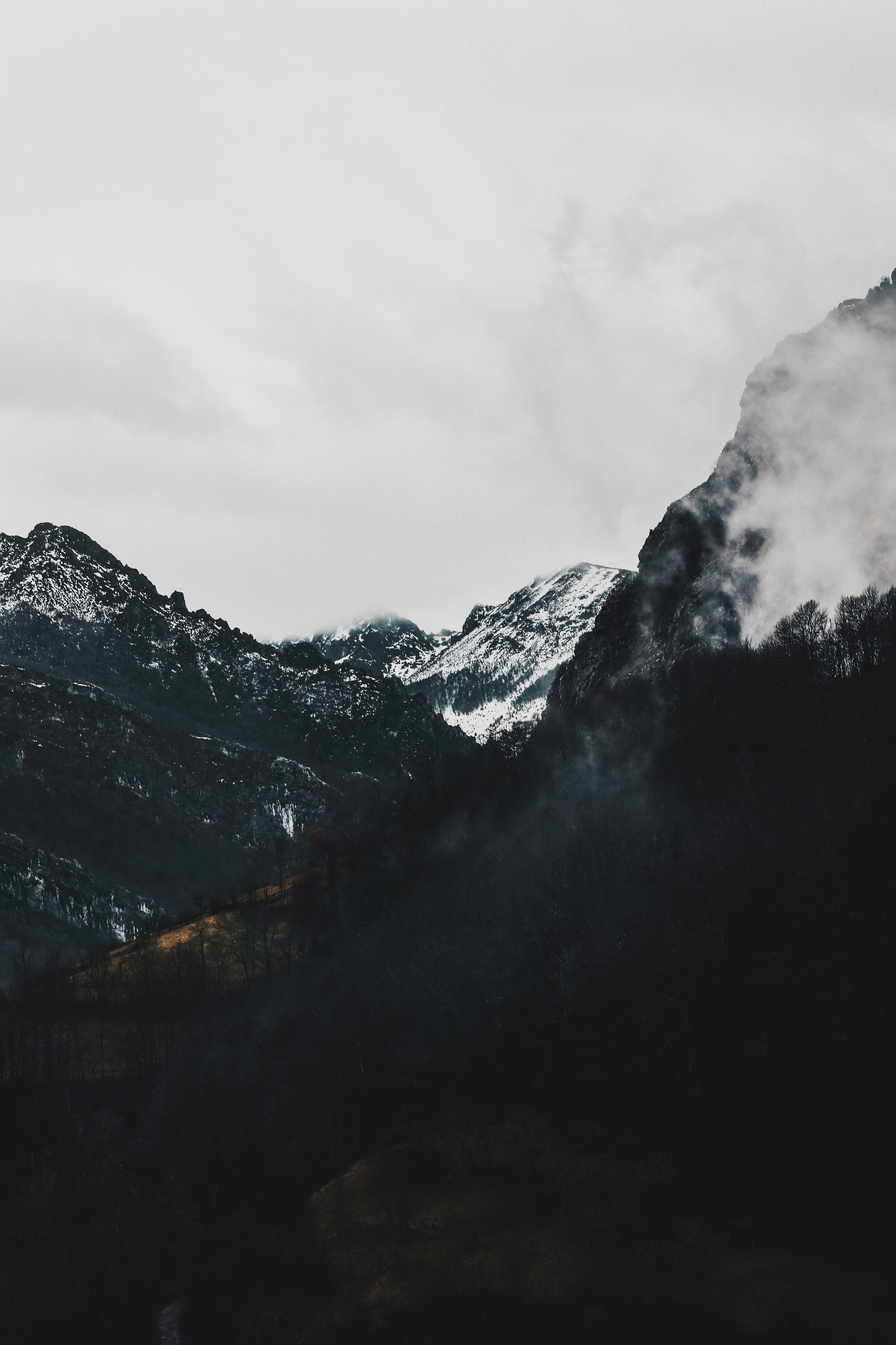 Portrait Landscape Pictures | Download Free Images on Unsplash
