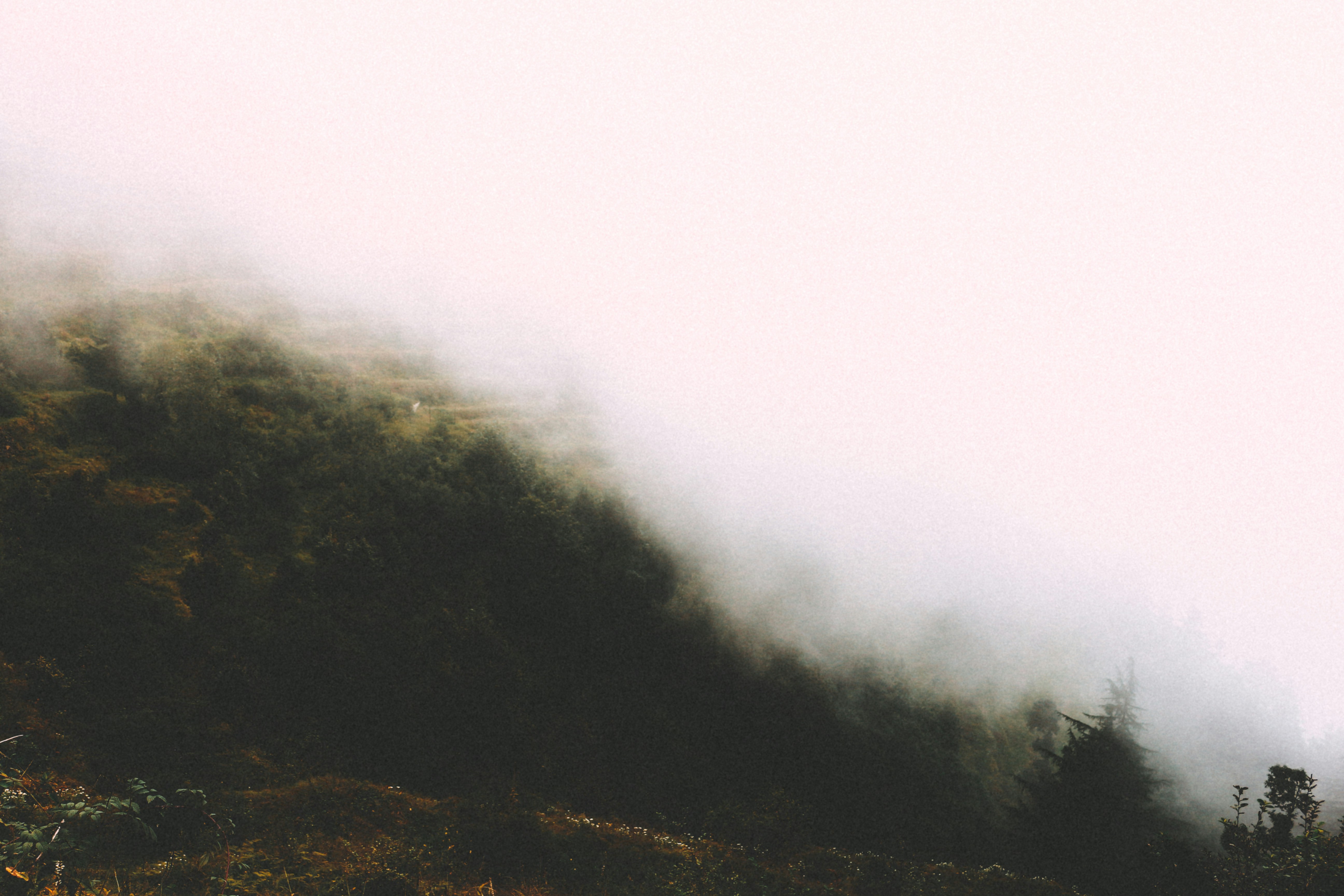 White fogs on mountain photo – Free Fog Image on Unsplash