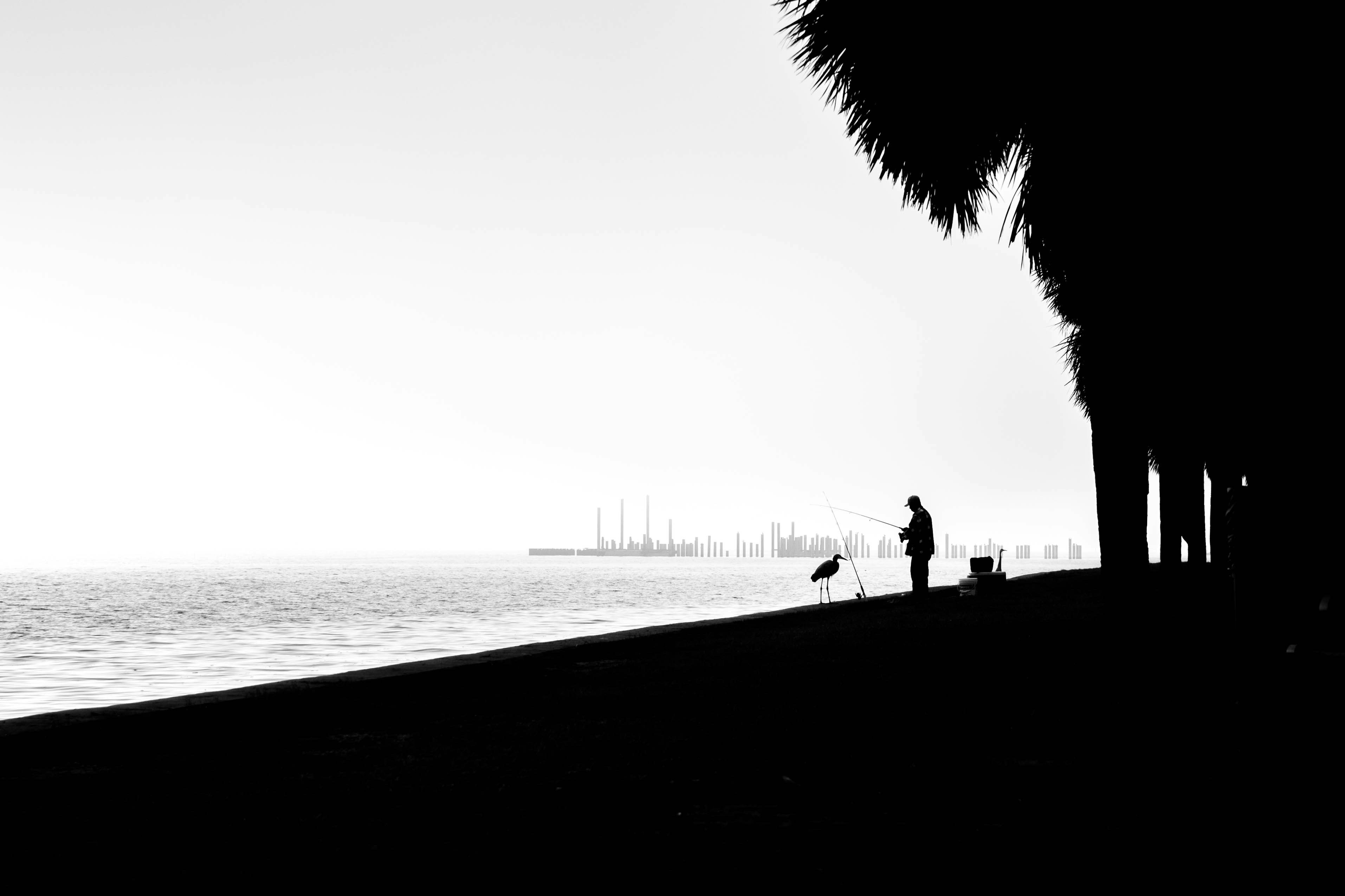 Silhouette of a person and a dog walking along a beach with palm trees under a bright sky.