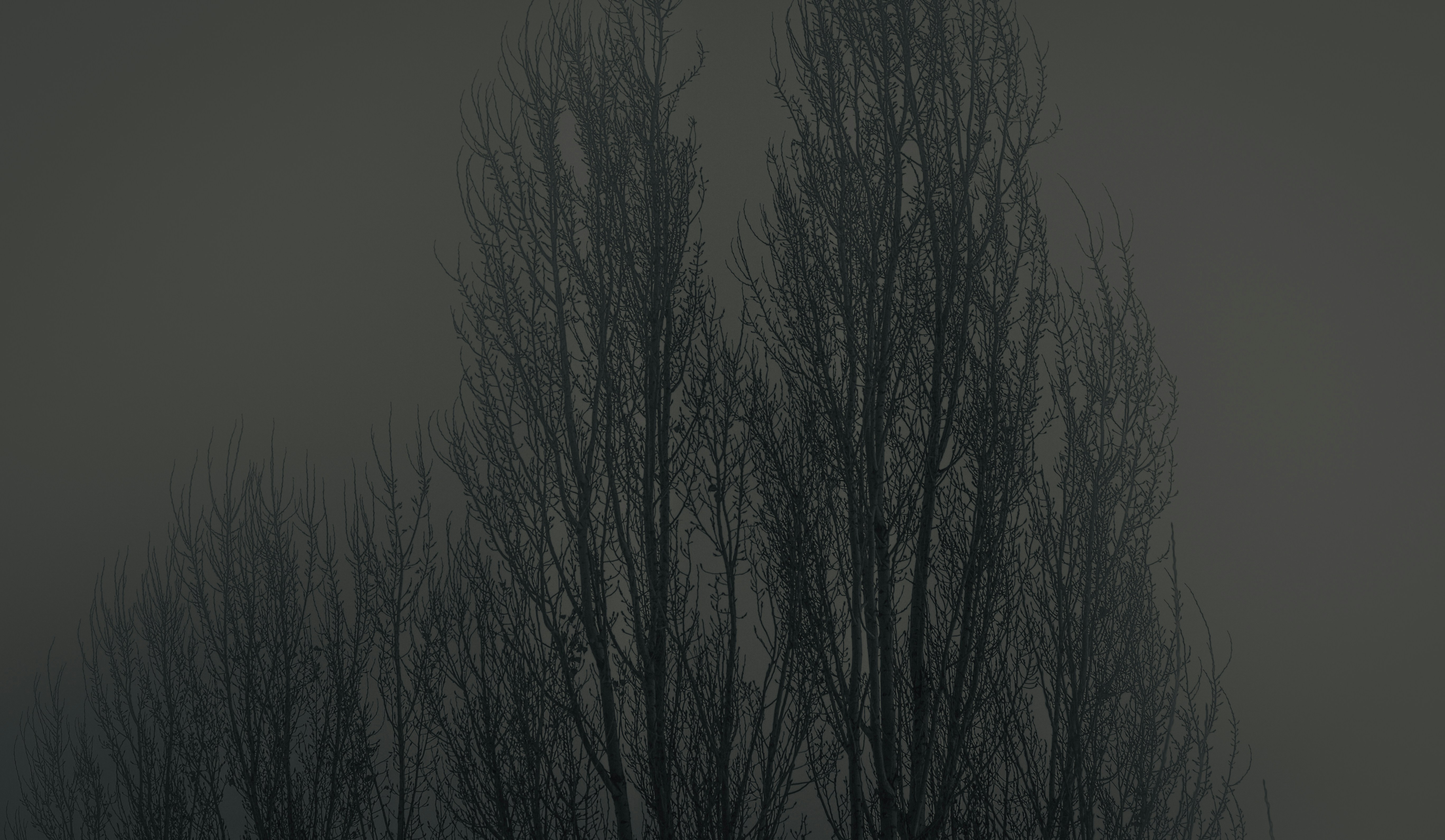 David Thomas (@20twenty4) | Unsplash Photo Community