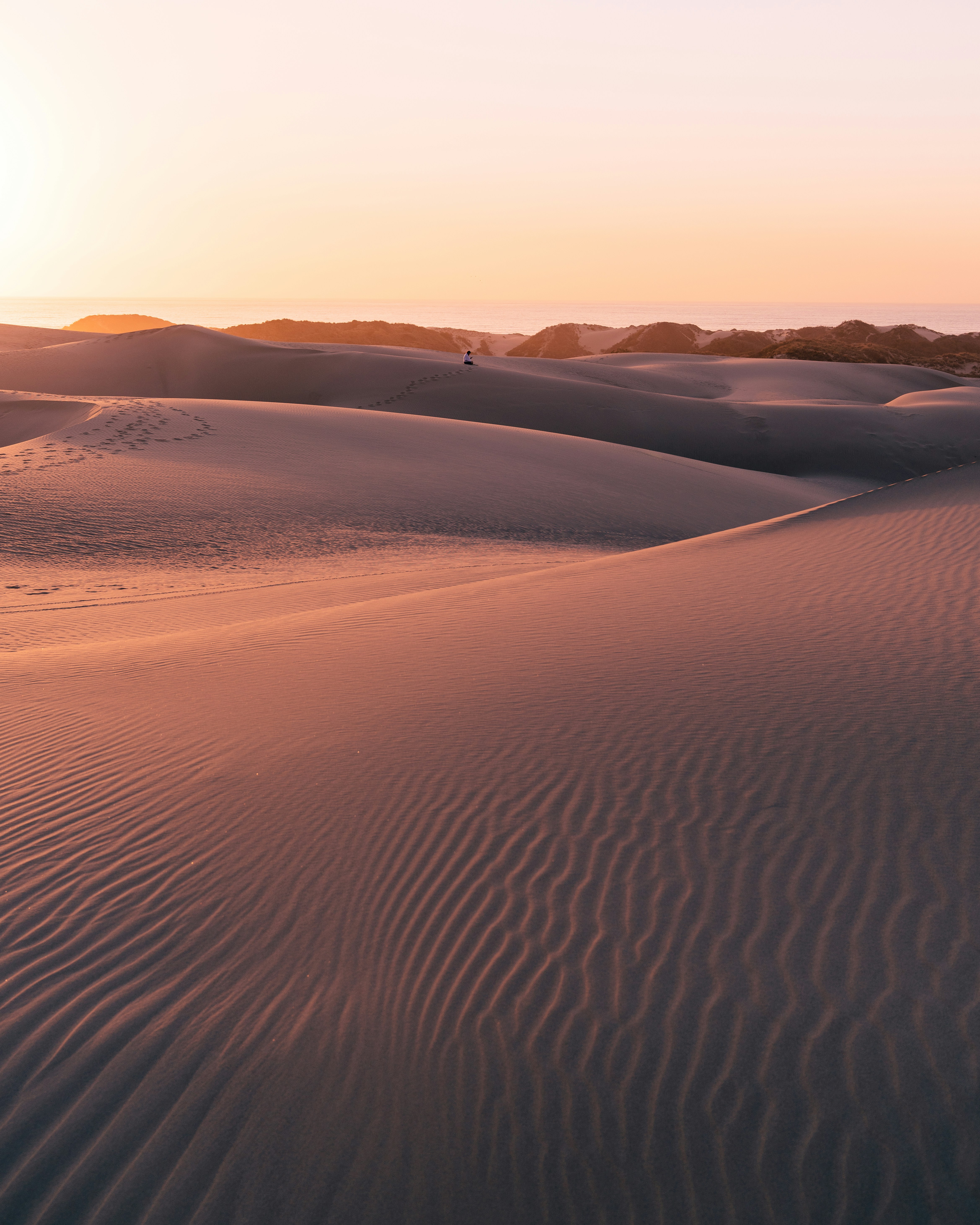 Sand Dunes Pictures | Download Free Images on Unsplash