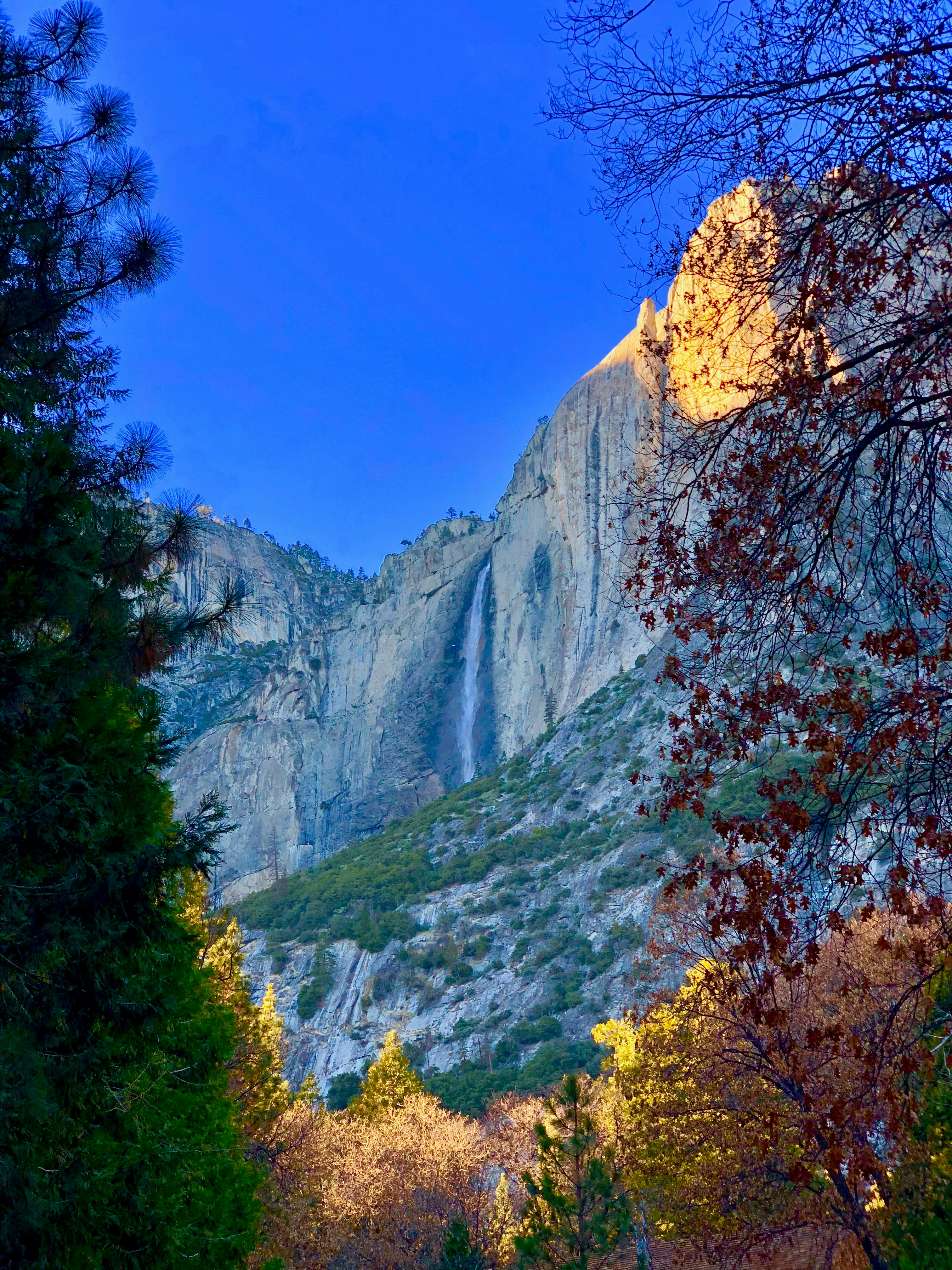 Yosemite Falls At Sunset | a scenic view of a mountain with trees in the foreground
