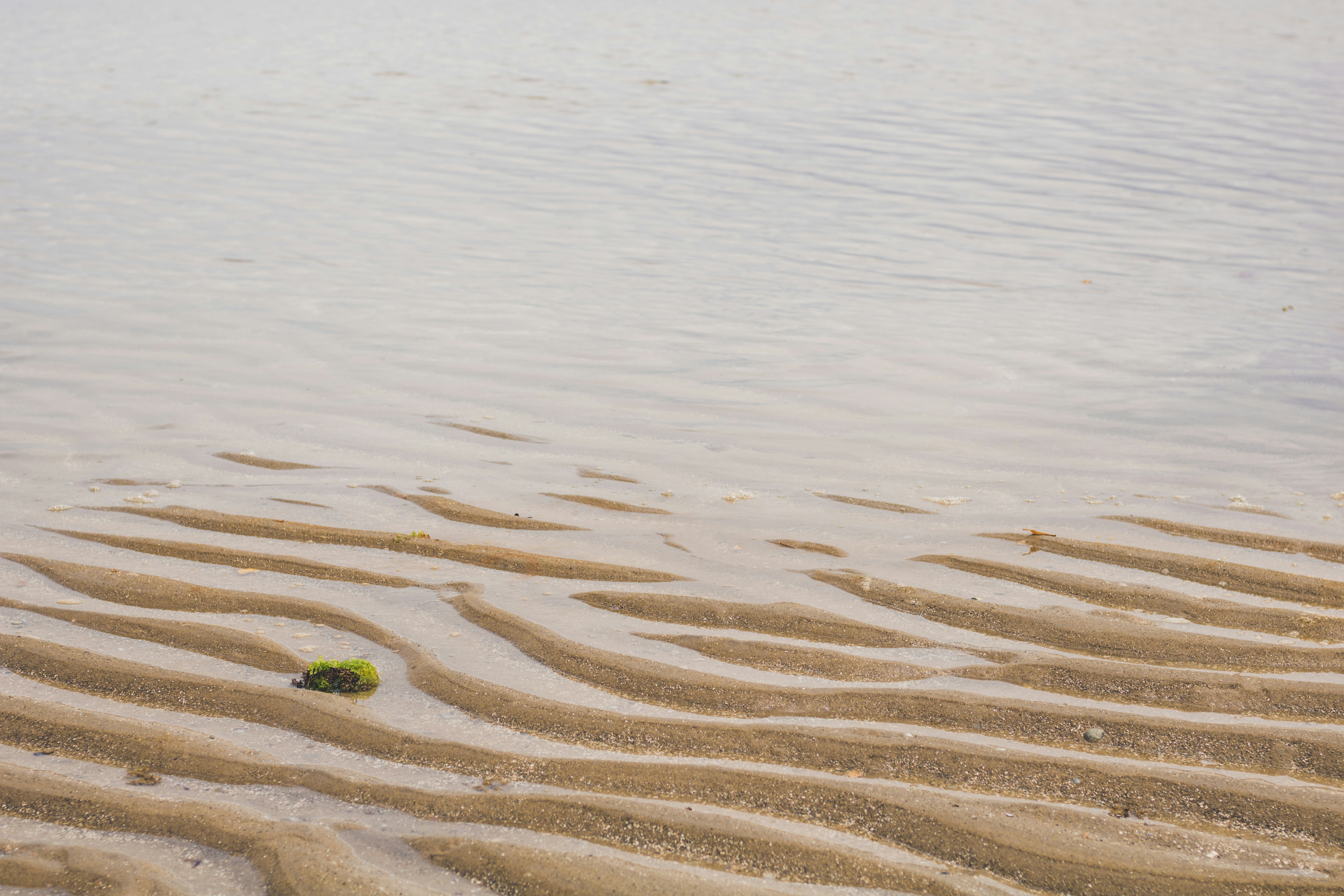 Green object on rippled sandy beach near calm water.