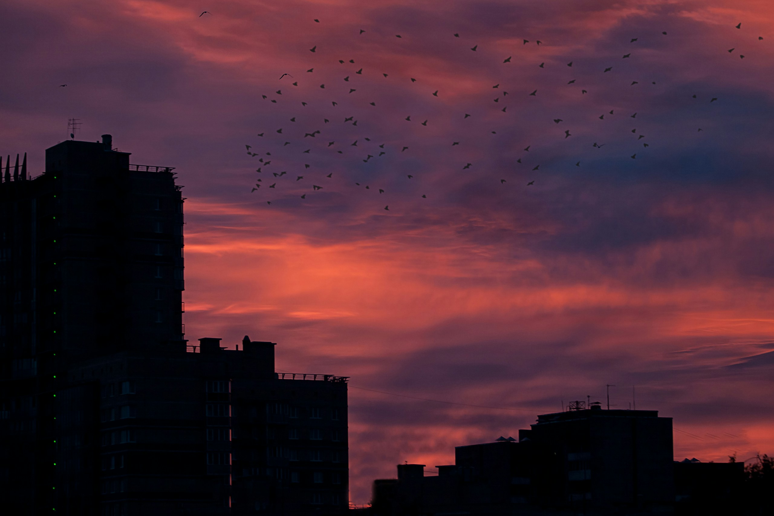 Dusk Choir Over a Silhouetted Skyline