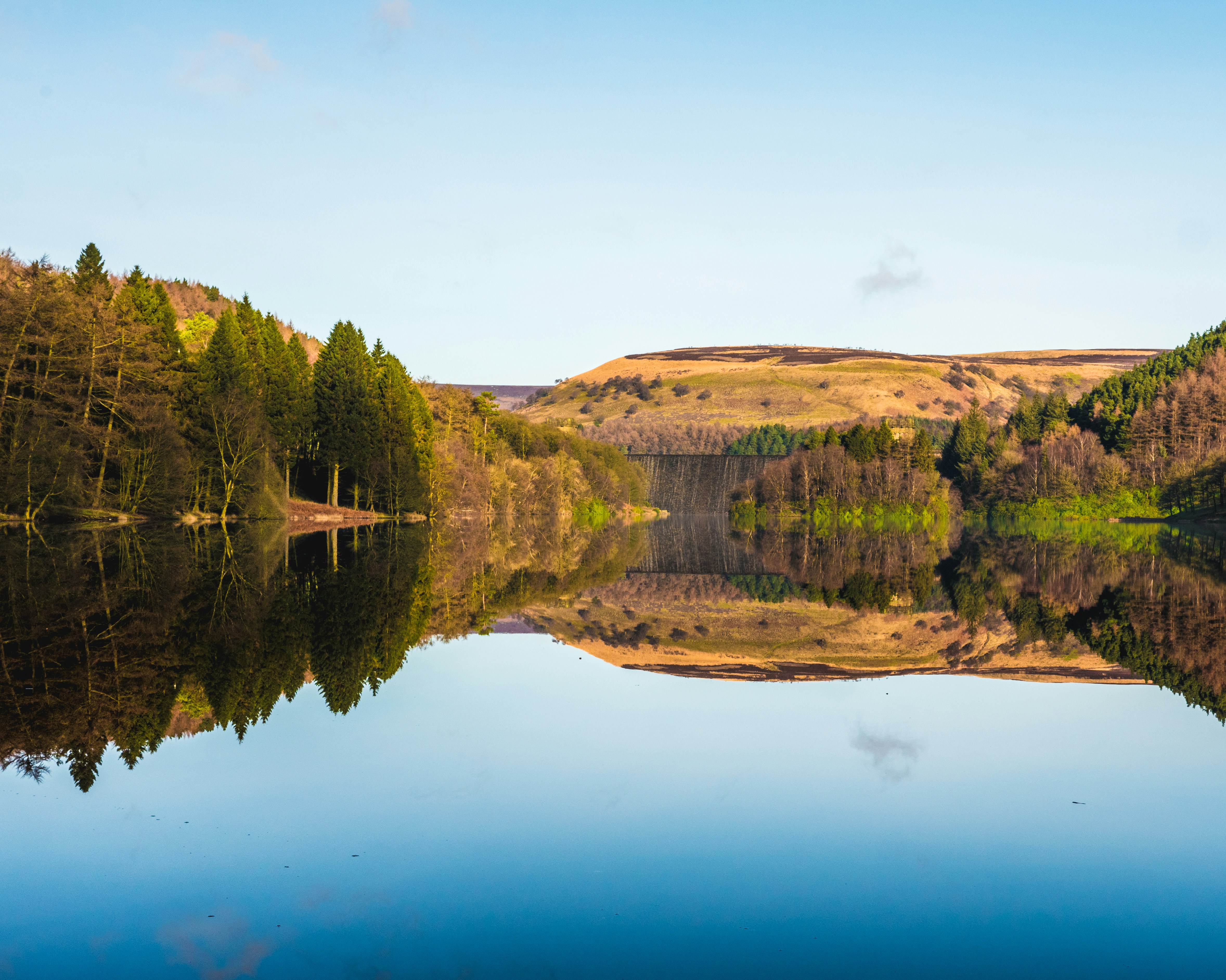 Calm lake reflecting lush greenery and rolling hills under a clear blue sky.