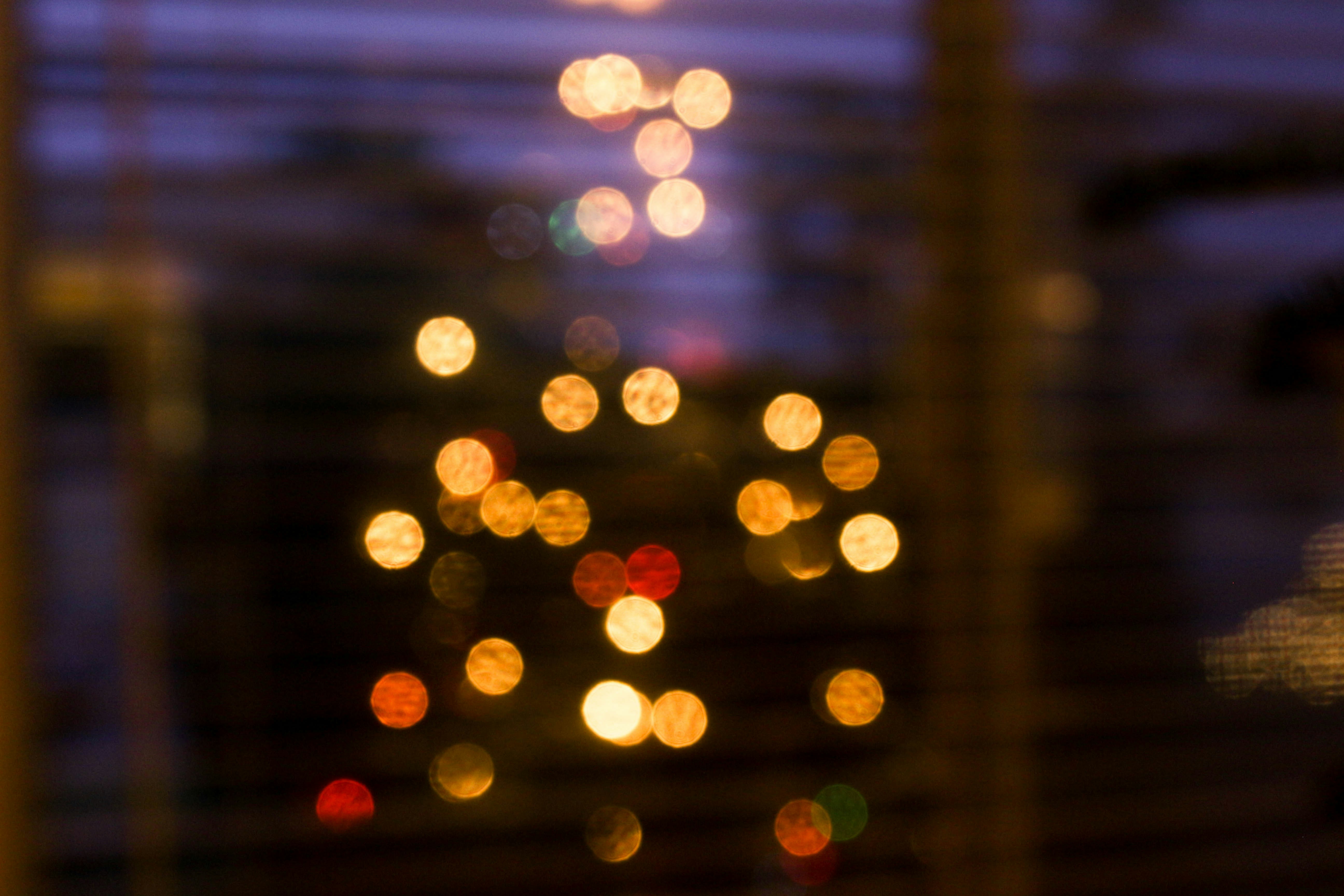 Hidden Tree of Lights: A Blur of Holiday Glow Behind Blinds