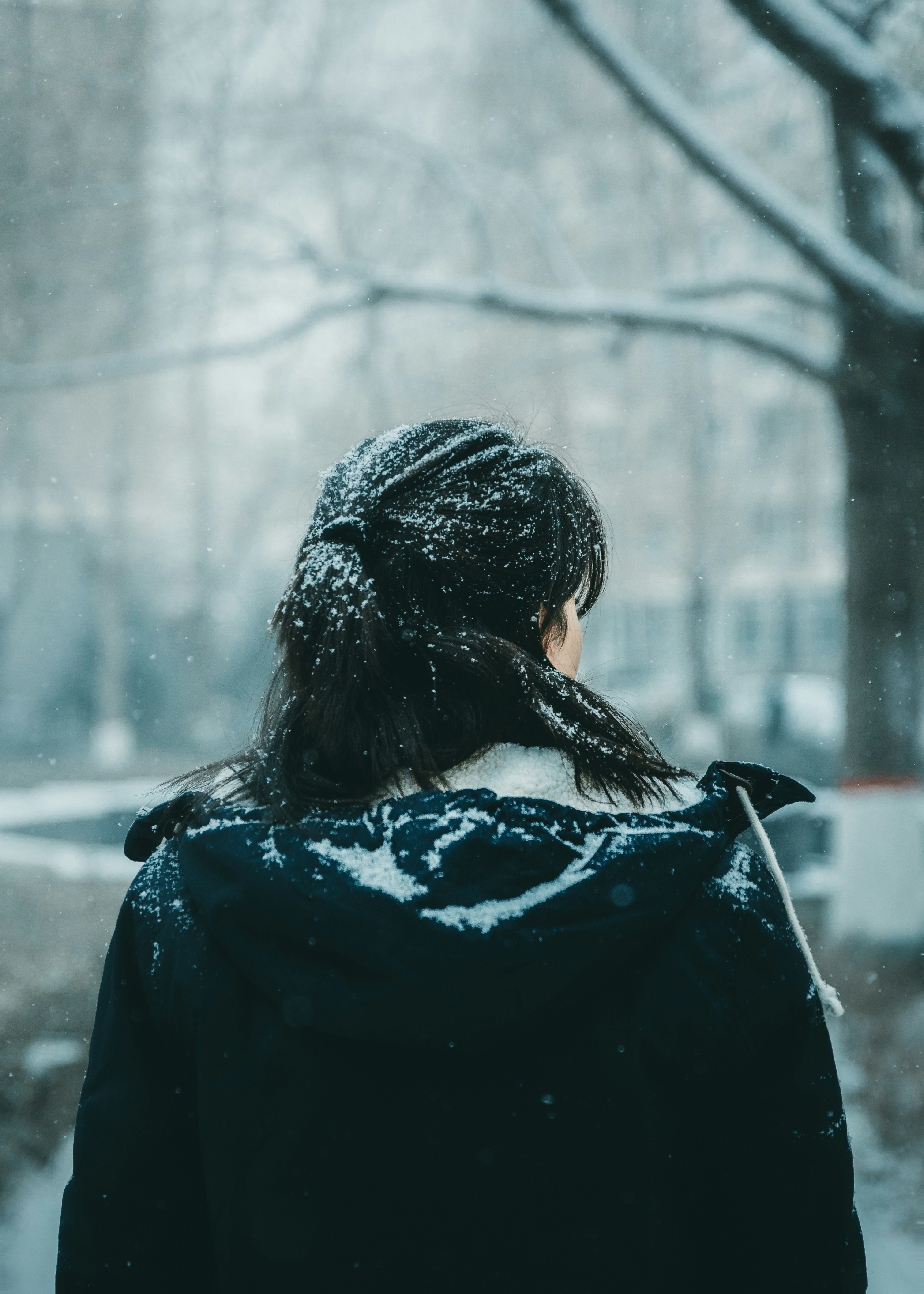 Sharon, in the Snow - by Benjamin Kerstein