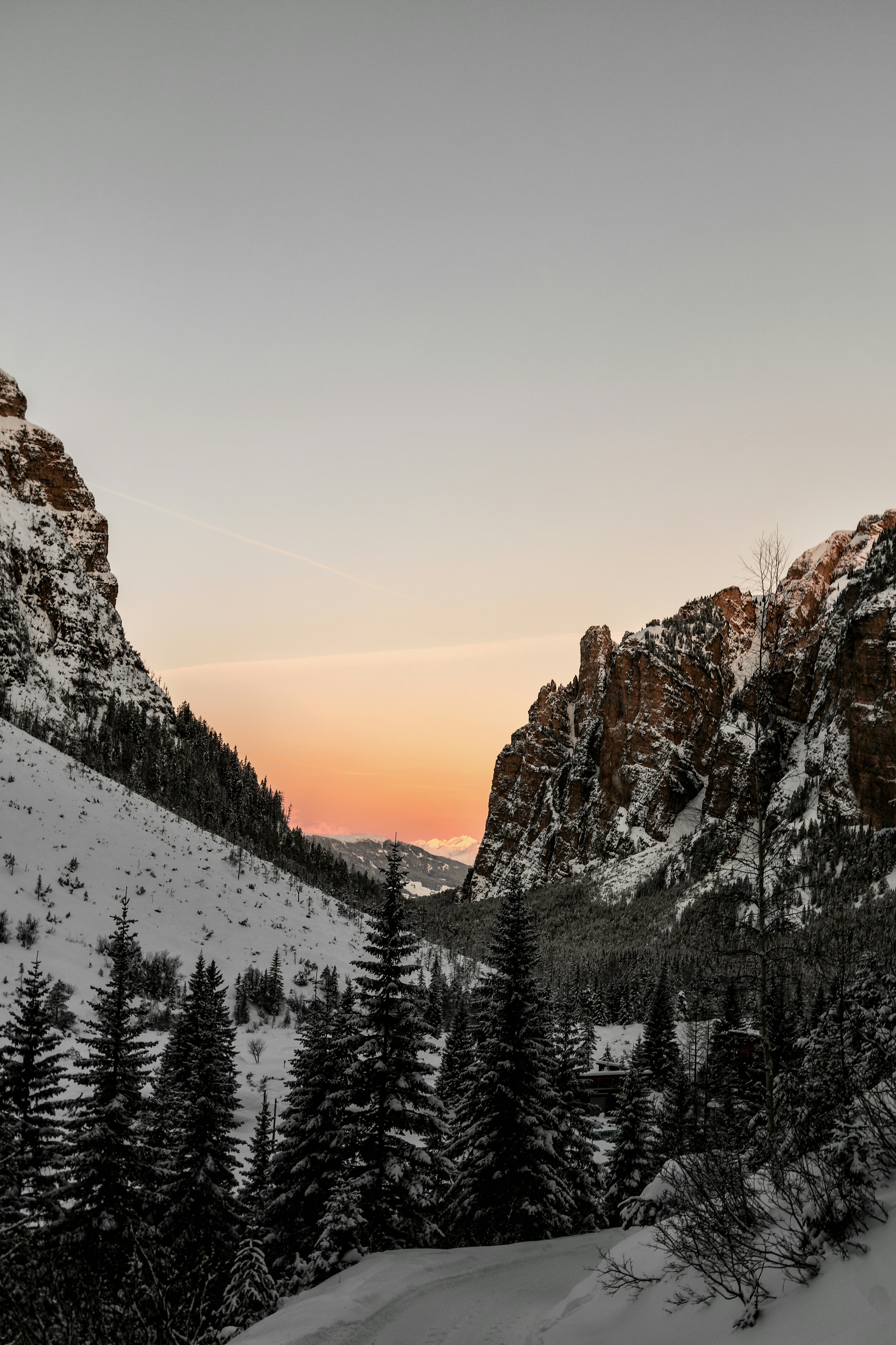 Définition de fane | Dictionnaire français