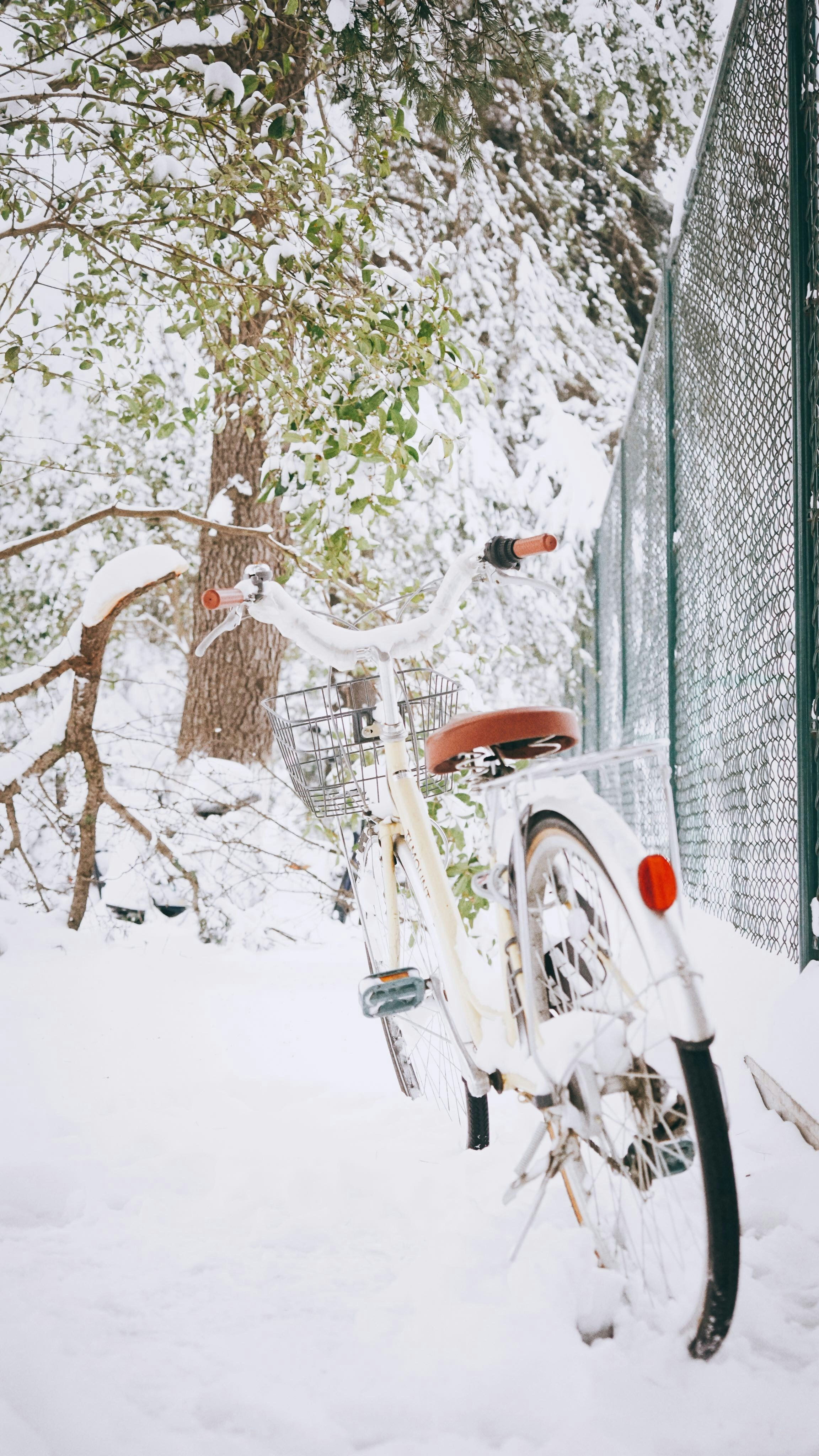White and gray bicycle near green cyclone fence photo – Free Snow Image ...