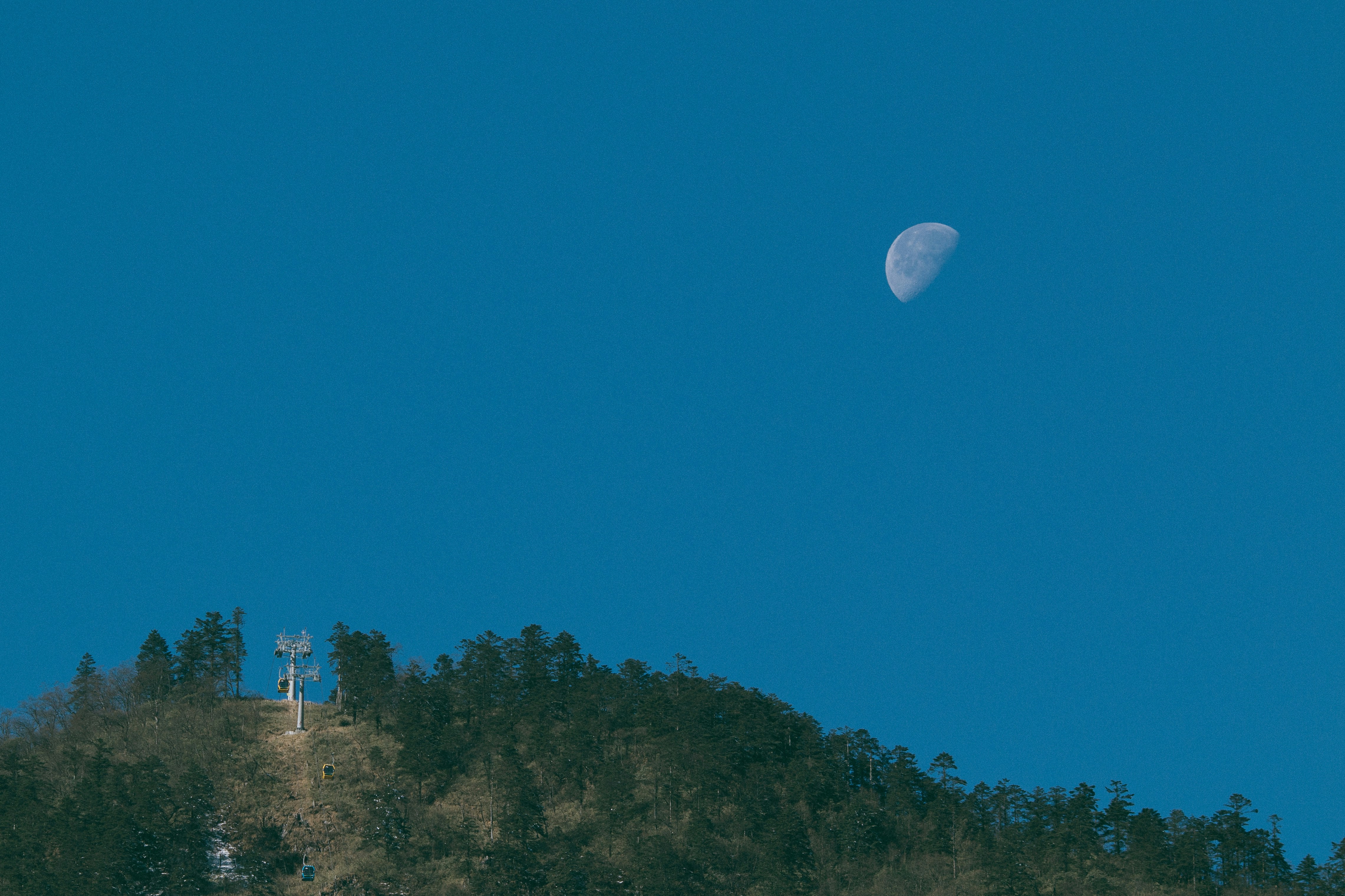Définition de demi-lune | Dictionnaire français