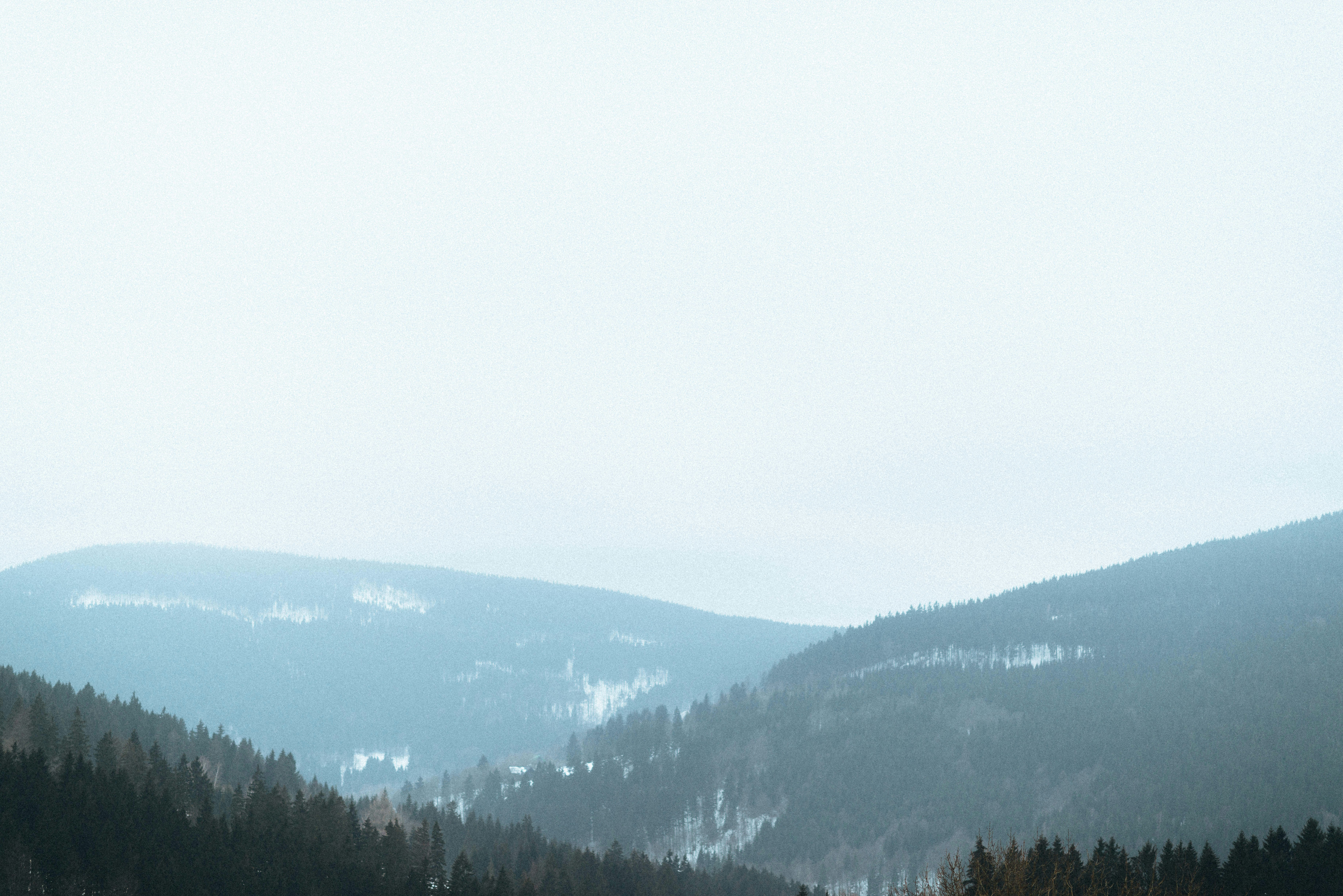 Softly rolling hills shrouded in mist, with a dense forest at the base and a muted sky above.