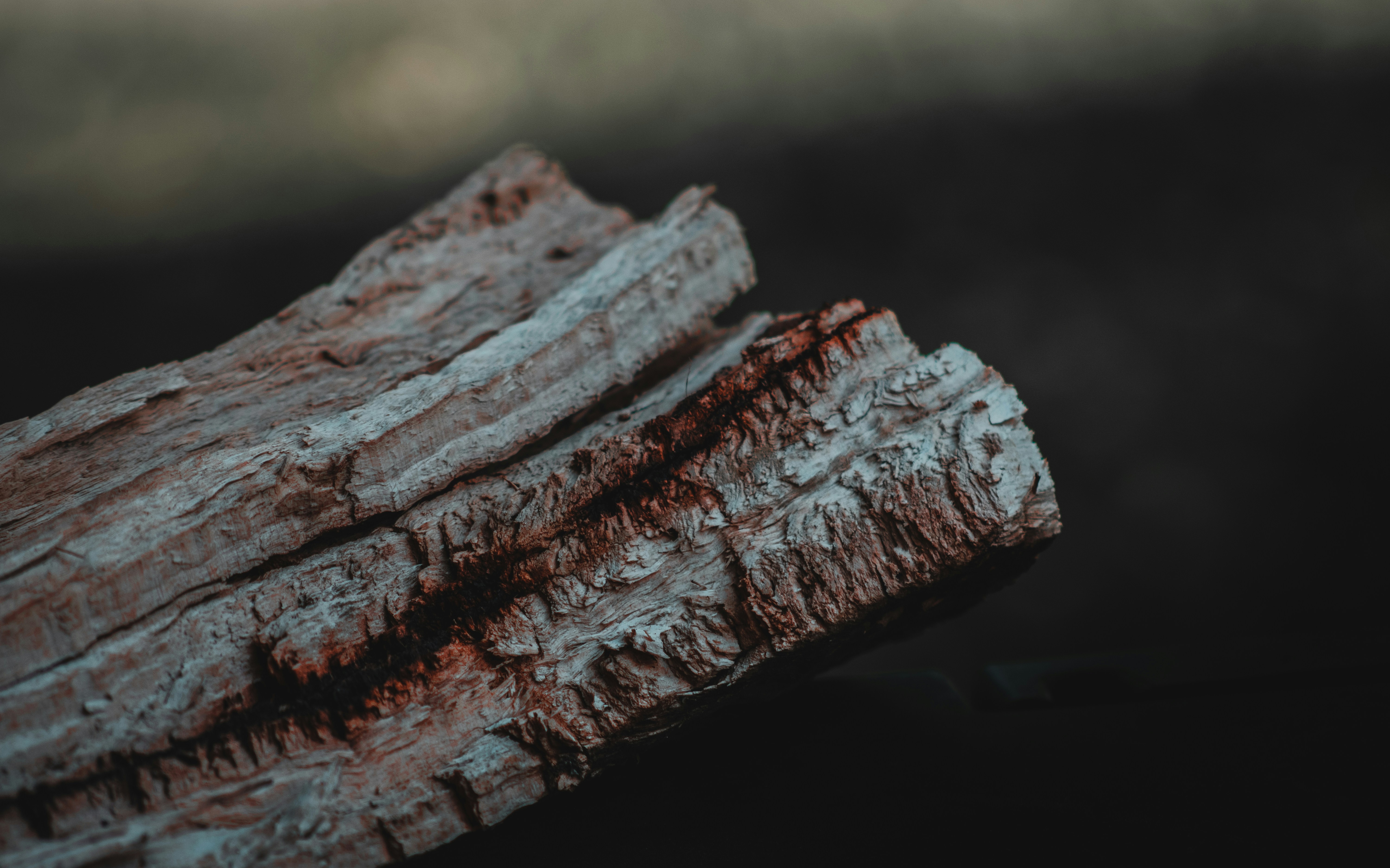 Charred Texture: A Slab of Weathered Log in Low Light
