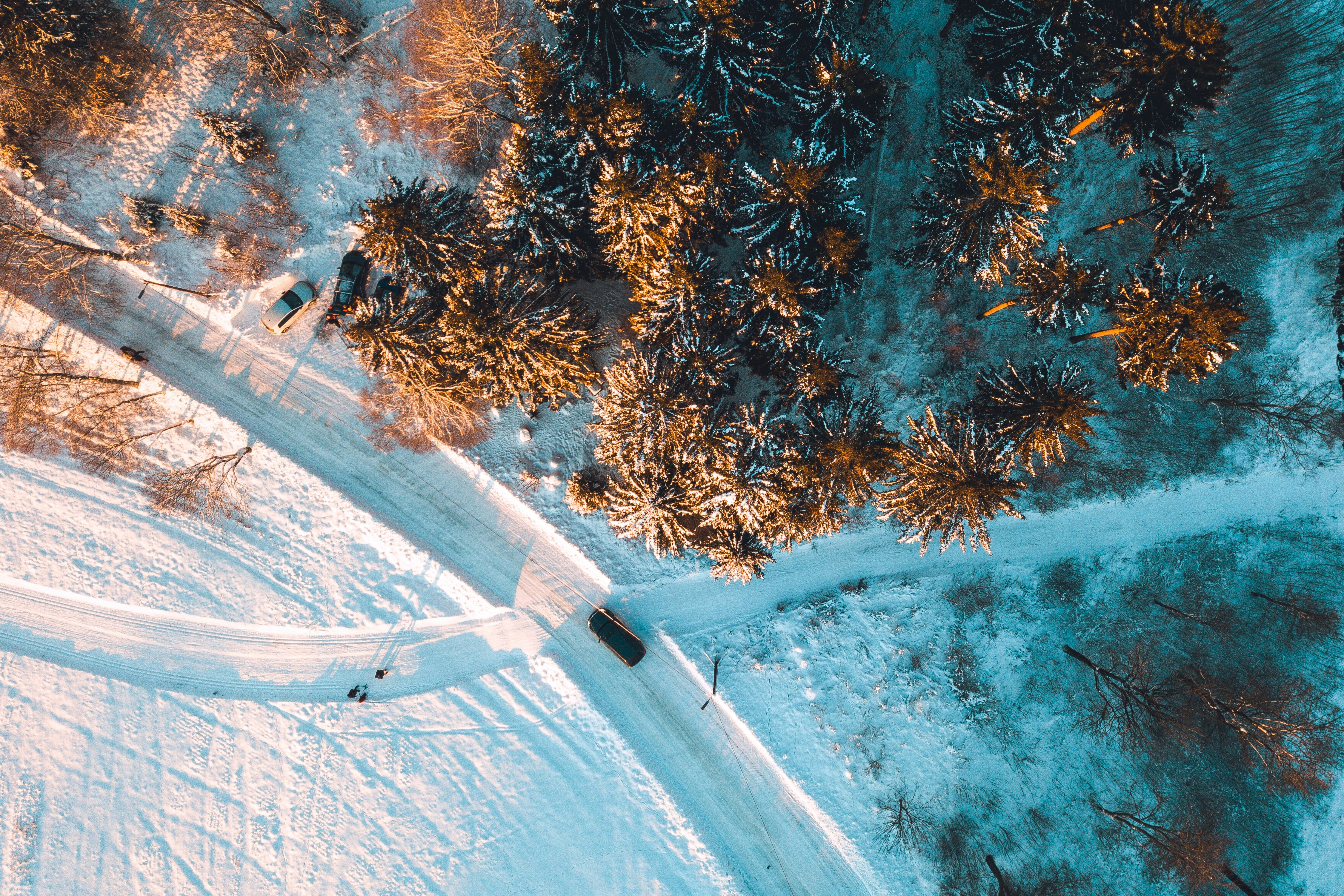 Aerial view of snow covered forest and road photo – Free Forest Image ...