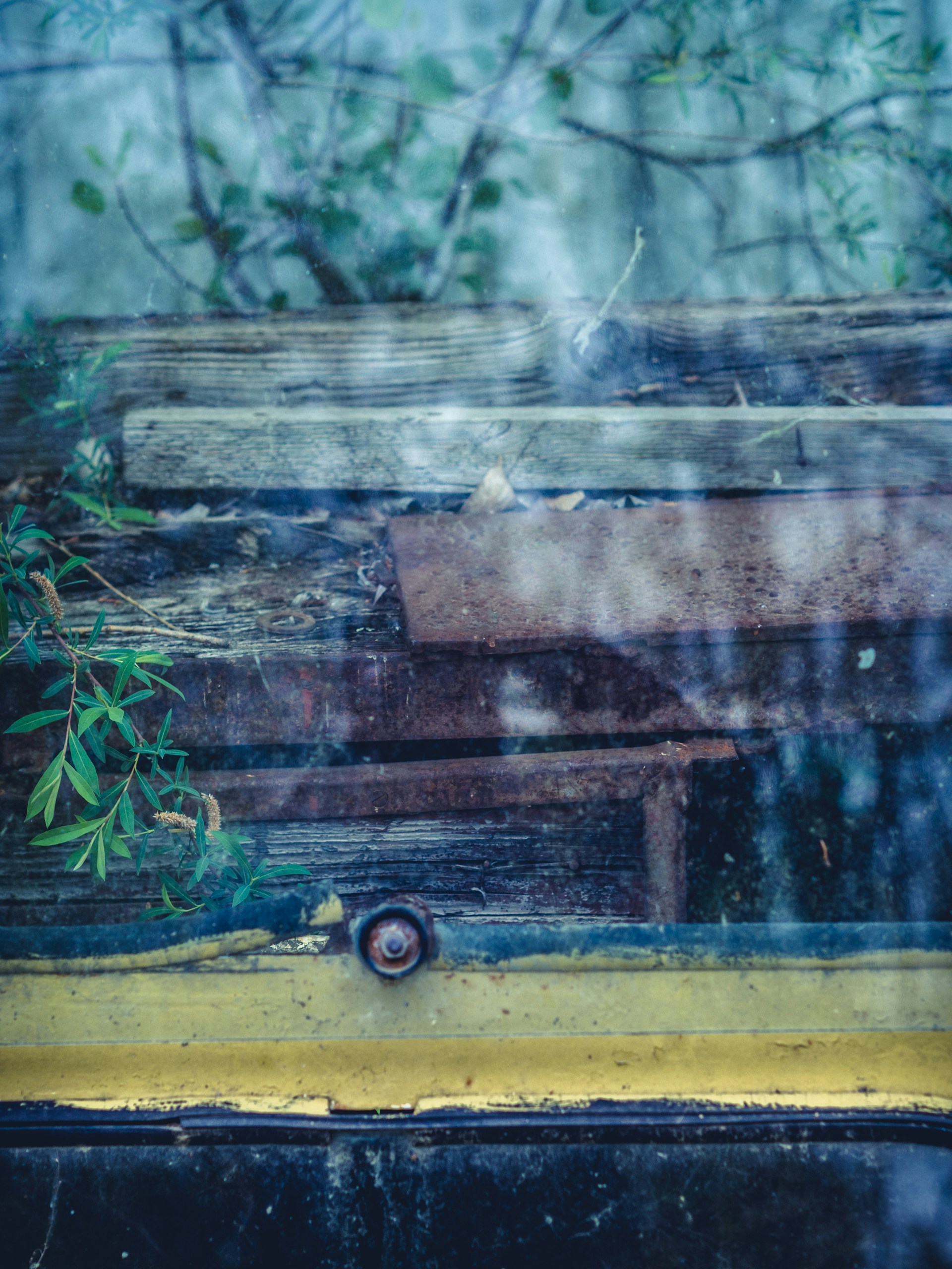 Textured Reflections: Nature Meets DecayIvan Vranić