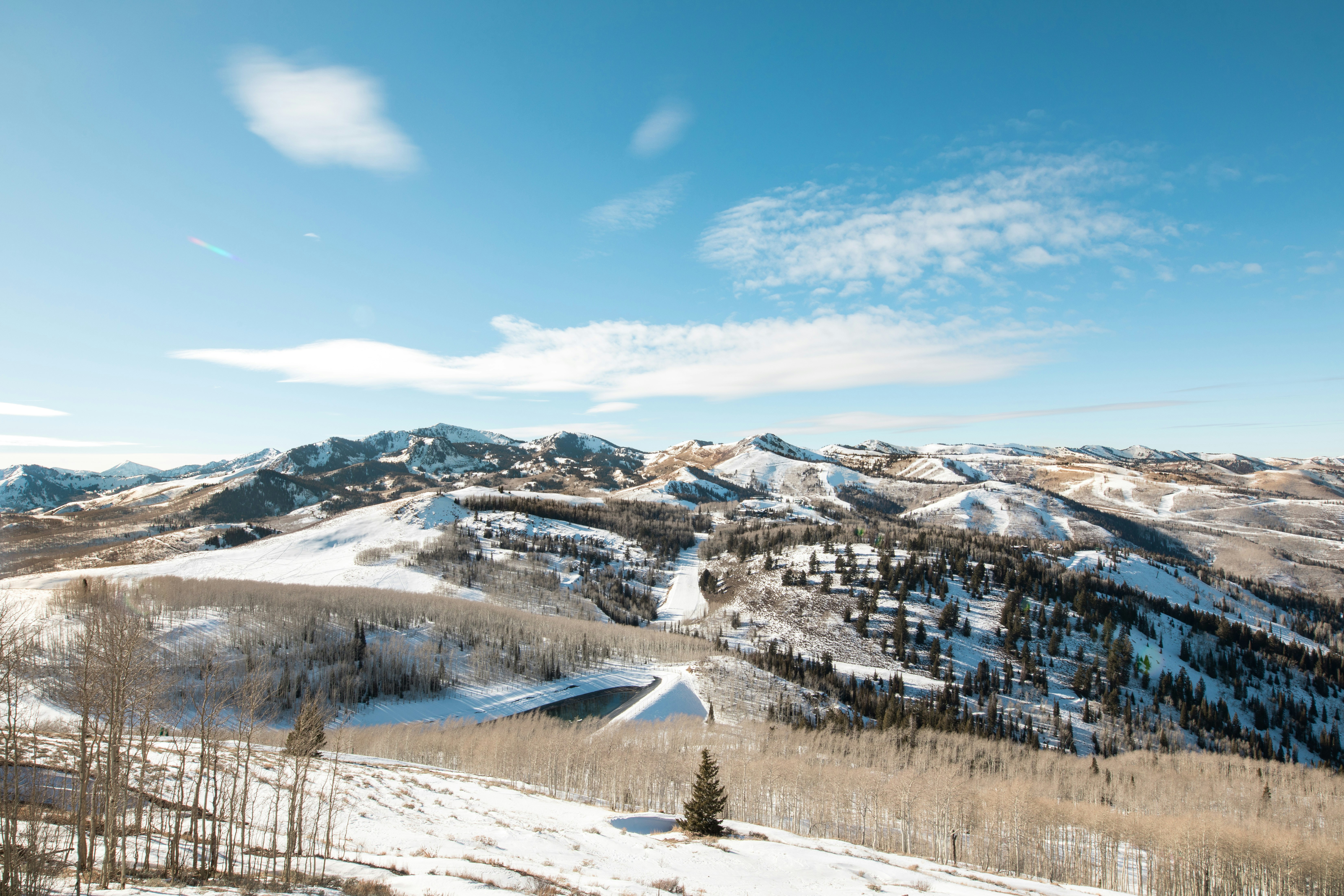 Snow-covered mountains stretch across the horizon, dotted with evergreen trees under a clear blue sky.